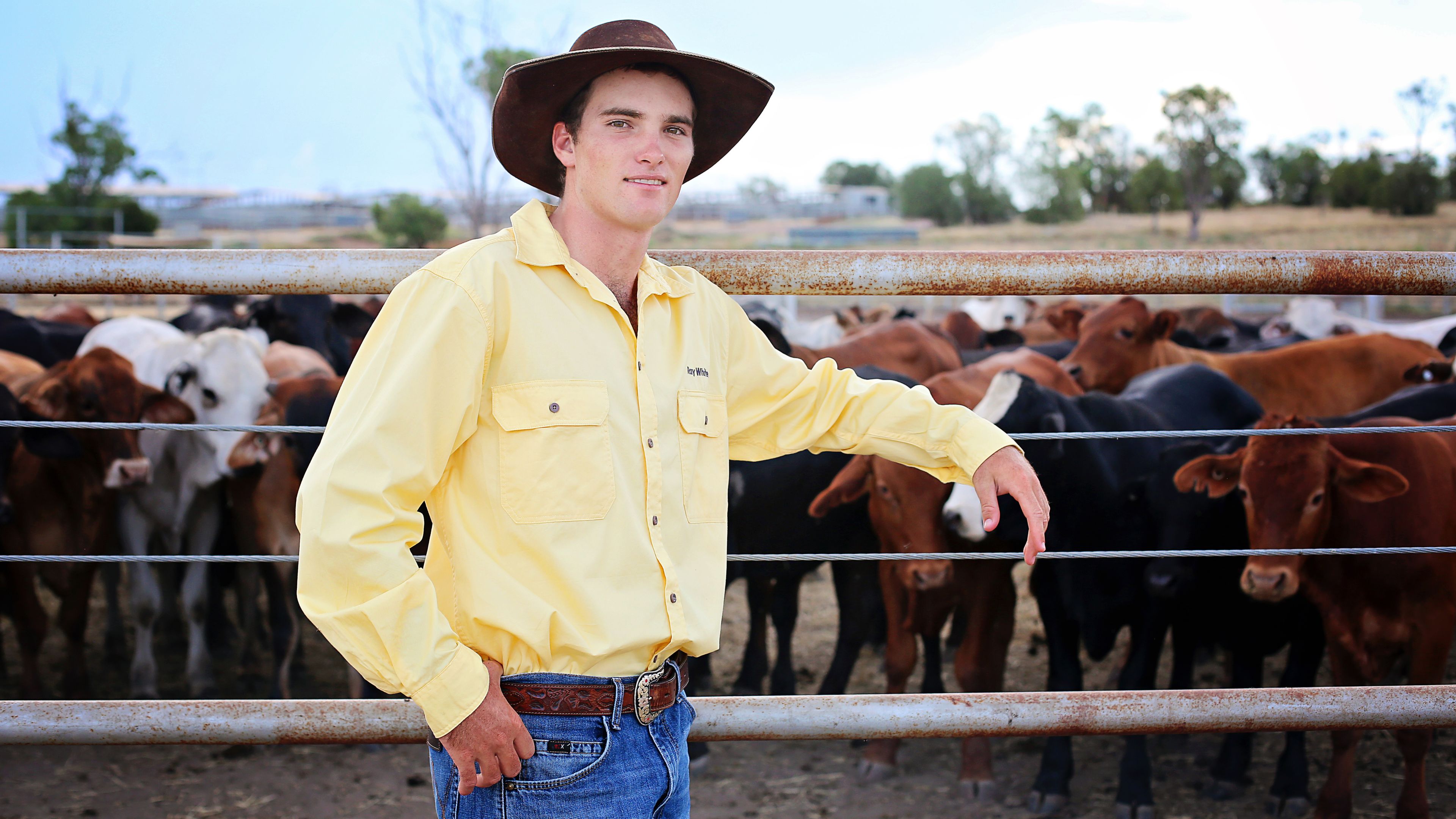 AJ Riley - Livestock Sales and Licensee in Charge - Ray White Roma ...
