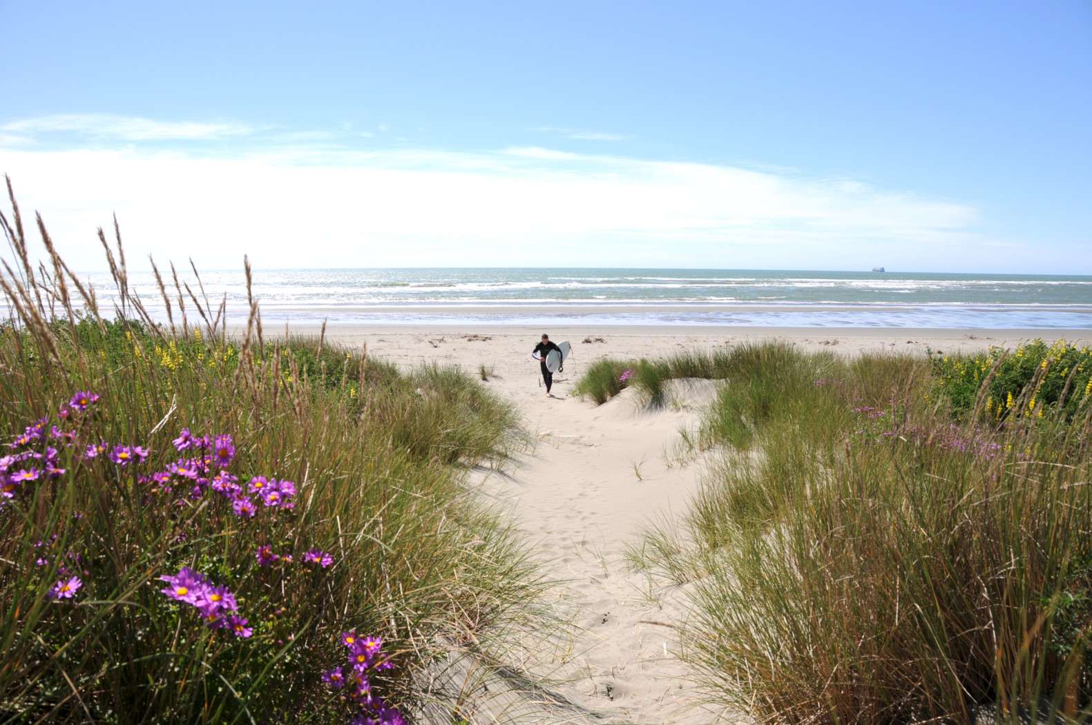211A Rocking Horse Road, Southshore, Christchurch City | Real Estate ...