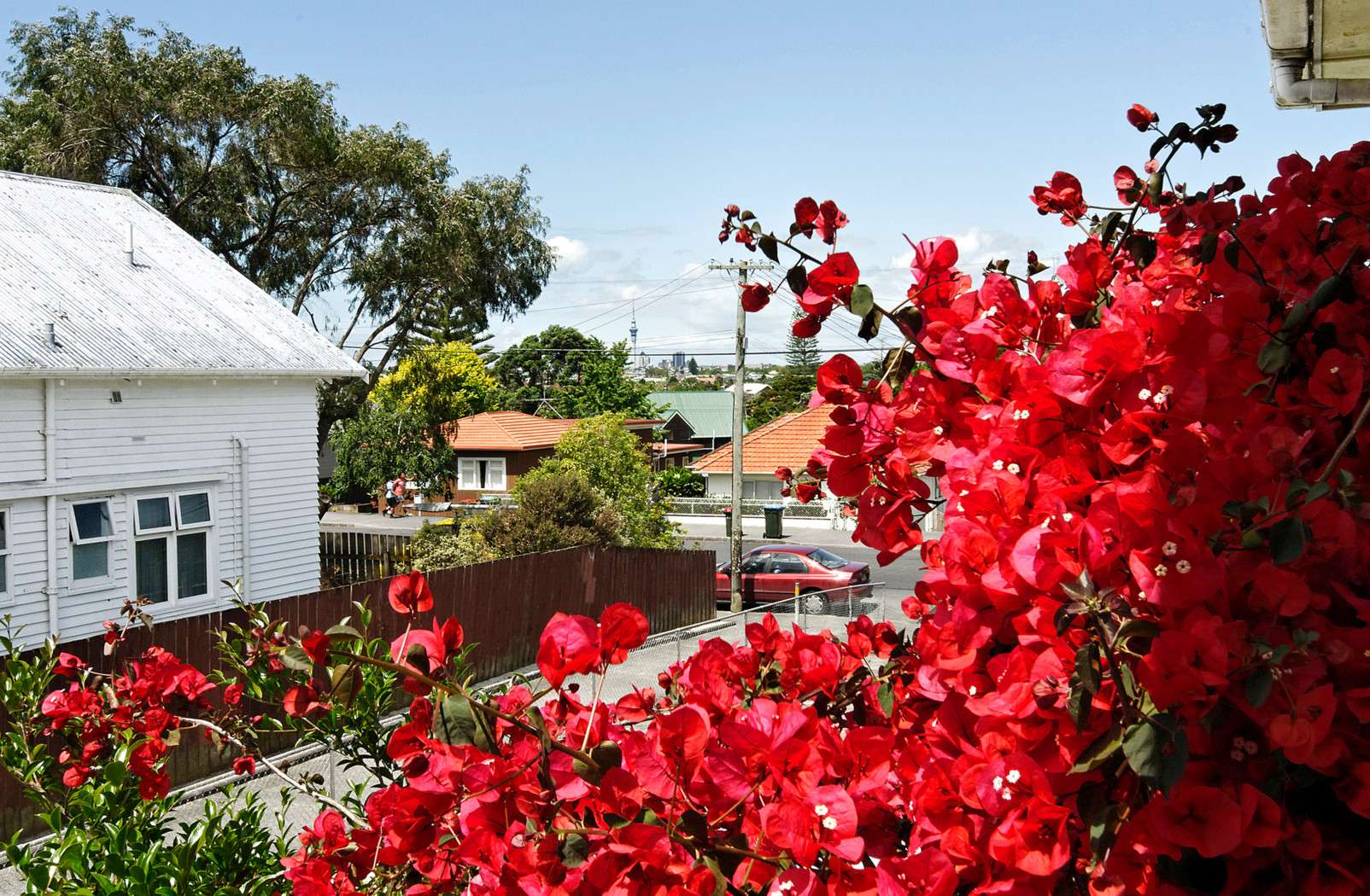 3/422 Pt Chevalier Road, Point Chevalier, Auckland City | Real Estate ...