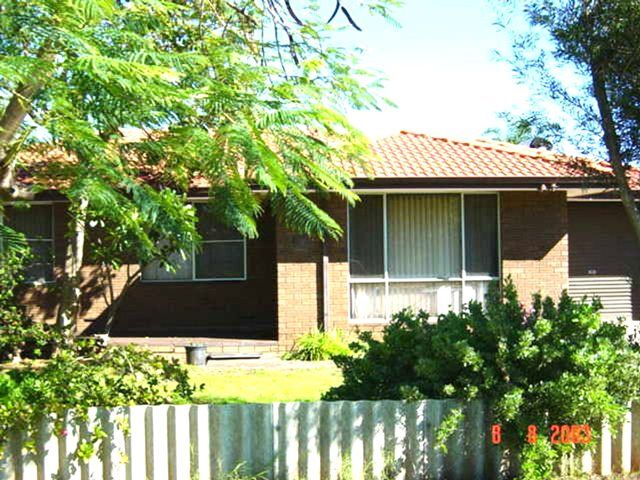 167 Anderson Street, GERALDTON, WA – Home For Rent • Ray White