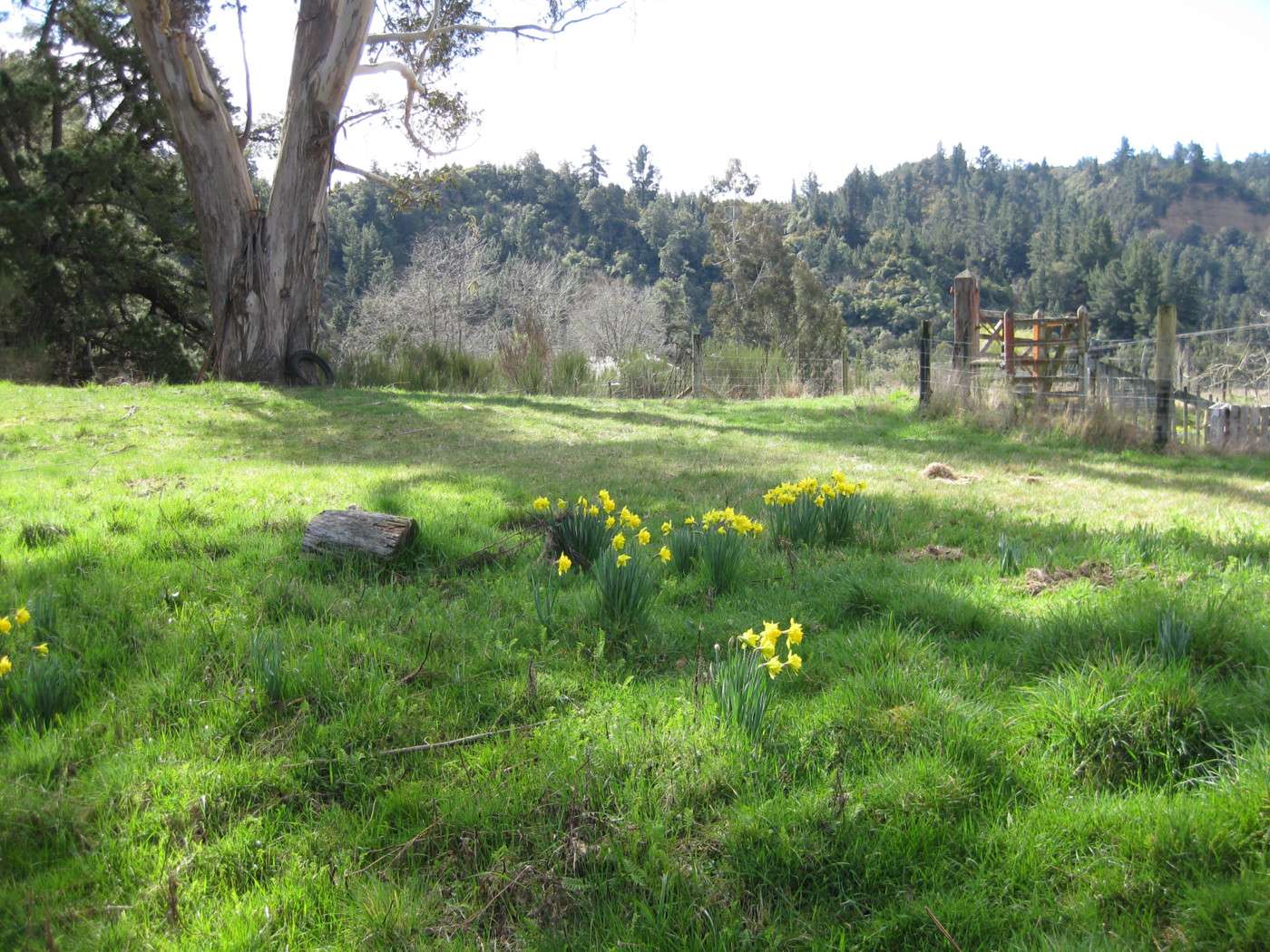 27 Tui Road, Tapawera, Tasman District | Real Estate | Ray White New ...