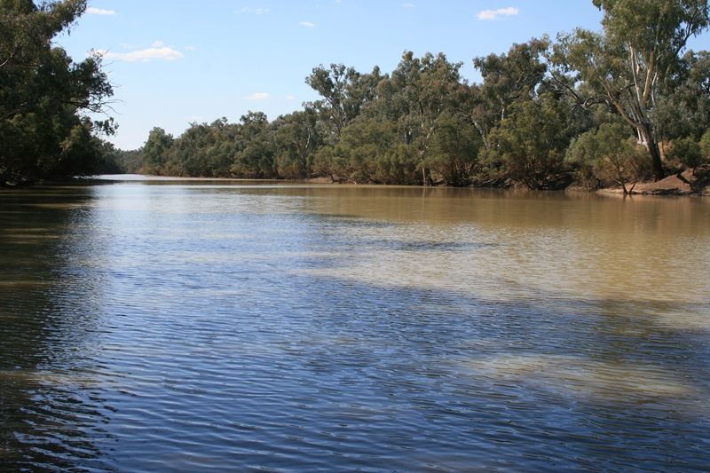 "Rosevale Station" - WYANDRA, QLD 4489 - Sold Rural Livestock Property ...
