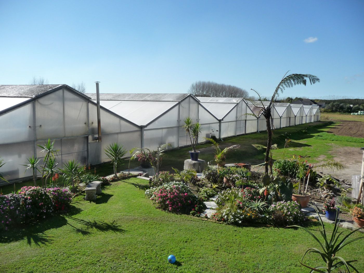 17 George Street, TE PUKE, – Business For Sale • Ray White New Zealand