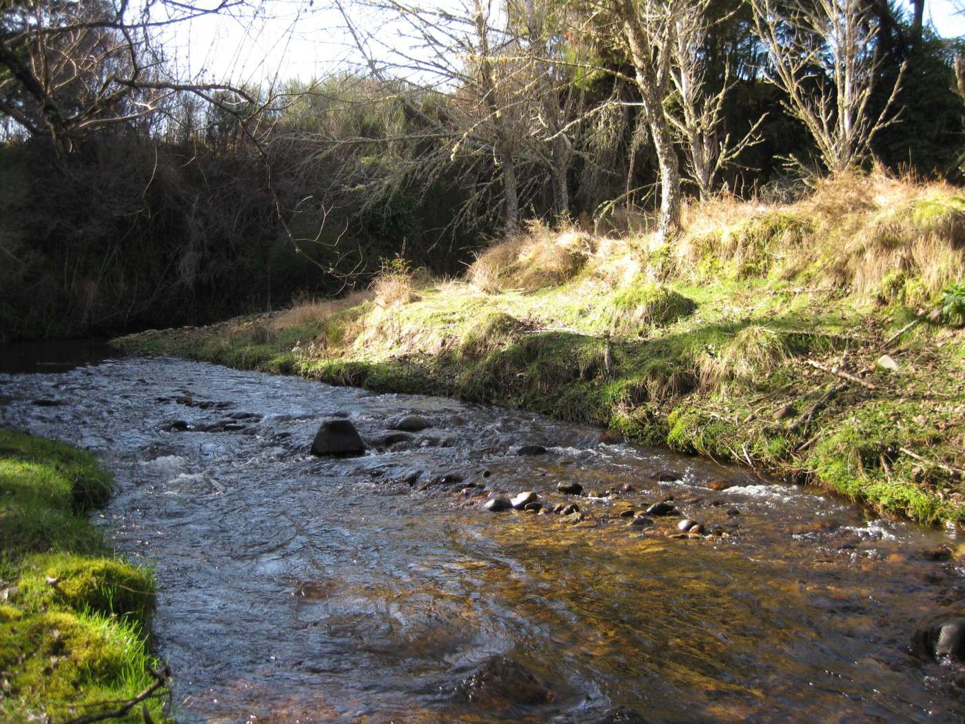 20 Tui Road, Tapawera, Tasman District | Real Estate | Ray White New ...