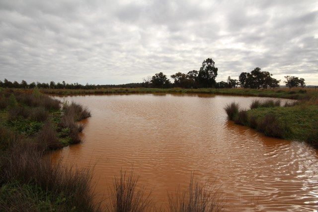 , GEURIE, NSW – Rural • Ray White