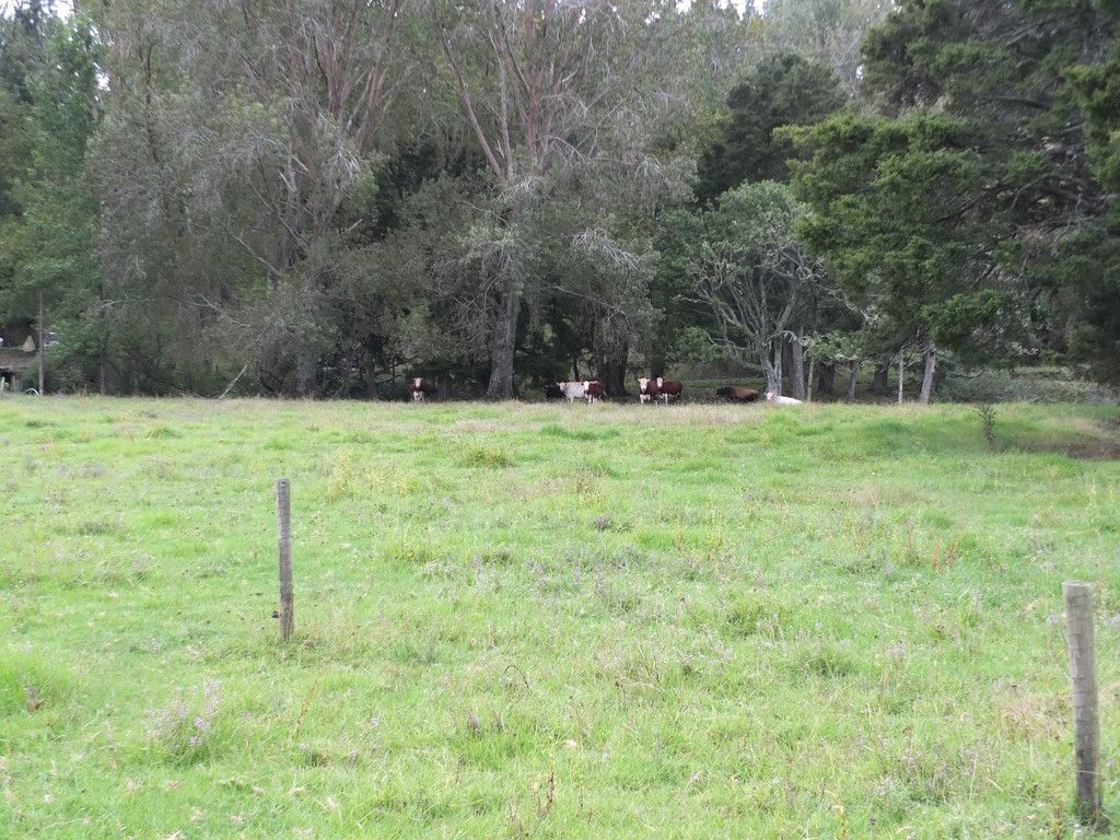 2694 State Highway 14 , Tangiteroria Rd1, – Home For Sale • Ray White ...