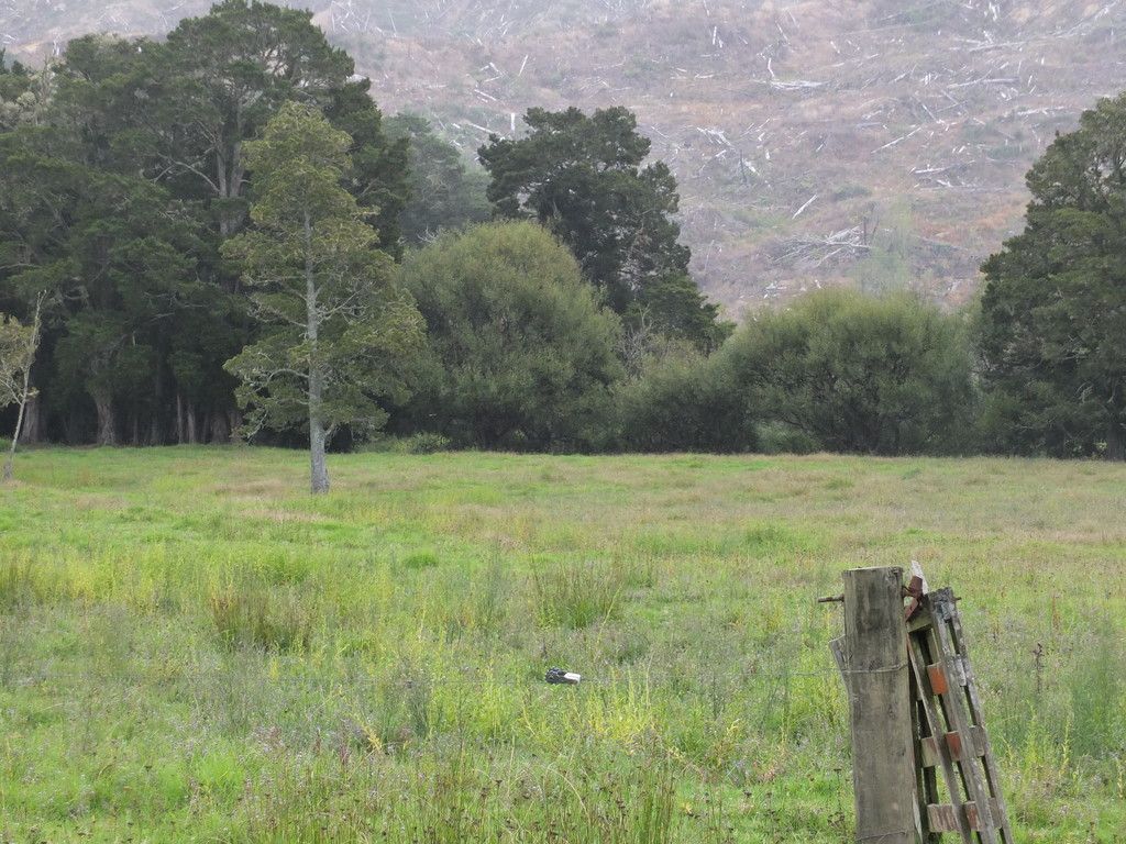 2694 State Highway 14 , Tangiteroria Rd1, – Home For Sale • Ray White ...