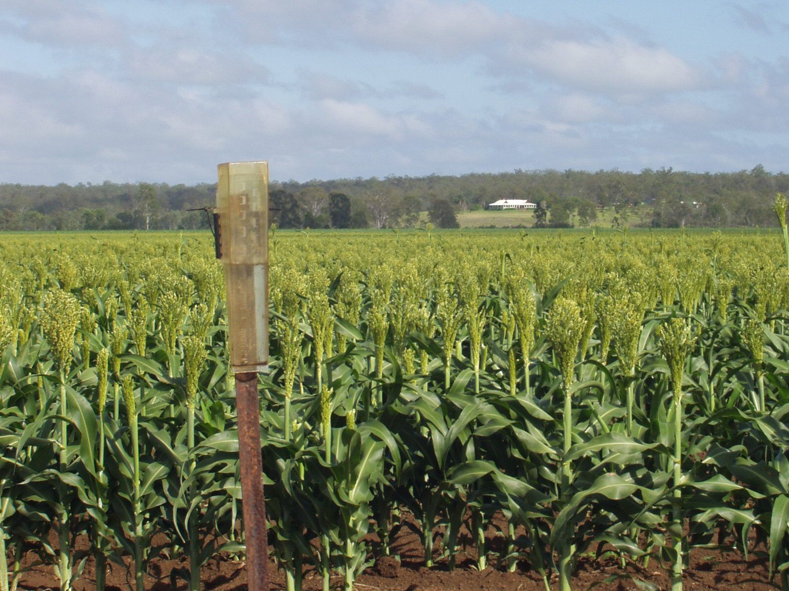 620 Hivesville Windera Road, Marshlands, QLD 4611 - Sold Rural Mixed ...