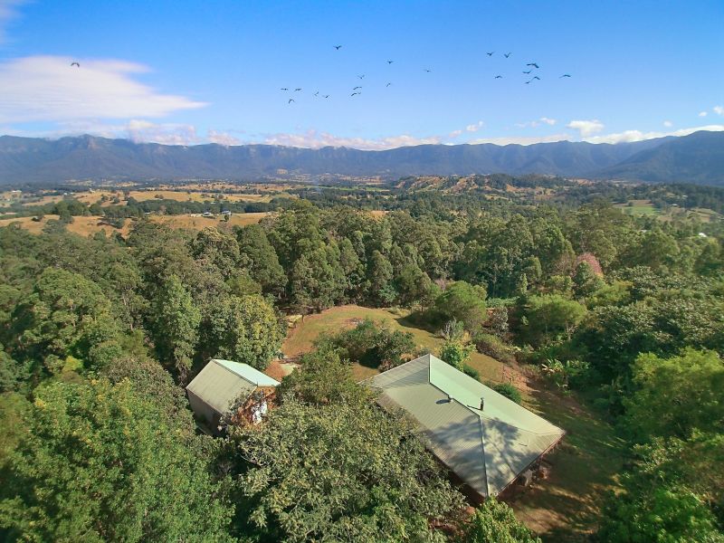 54 Tyalgum Ridge Road, Tyalgum, NSW - Rural Rural Sold