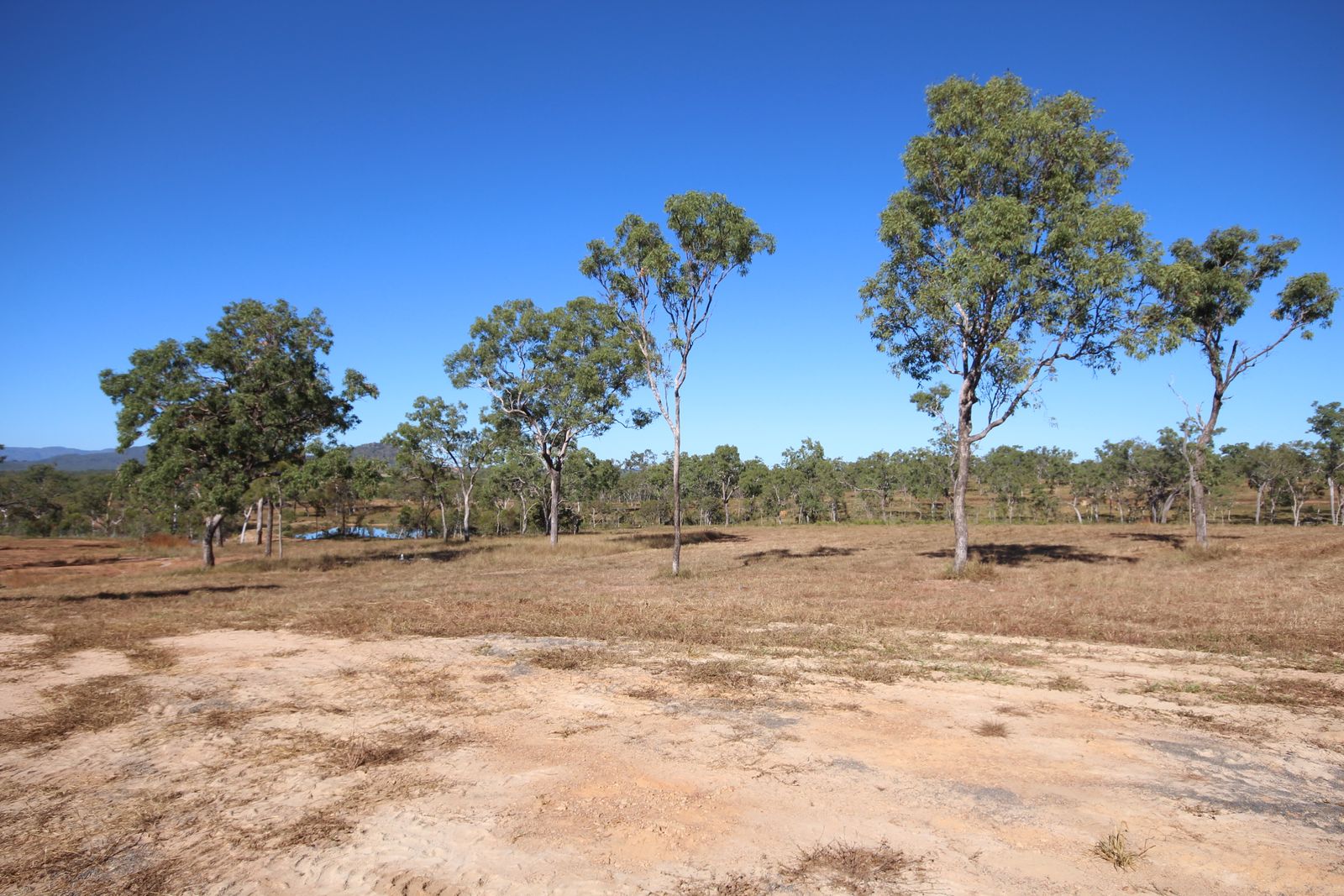 , Mareeba, QLD – Rural • Ray White