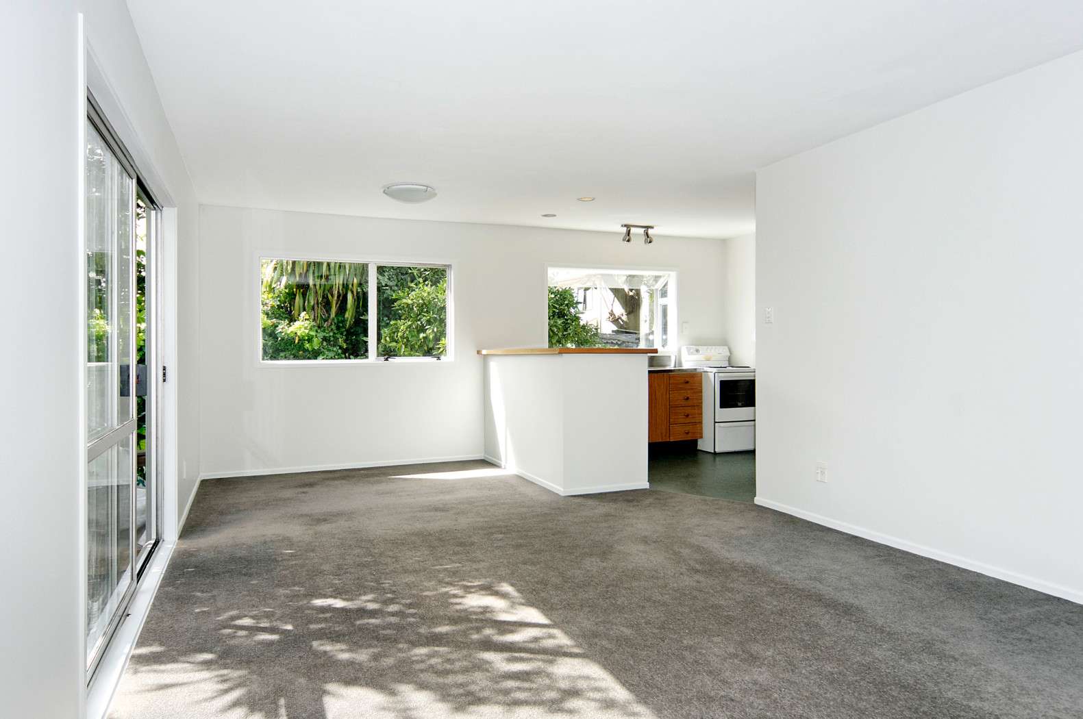 65A Moa Road, Point Chevalier, Auckland City | Real Estate | Ray White ...