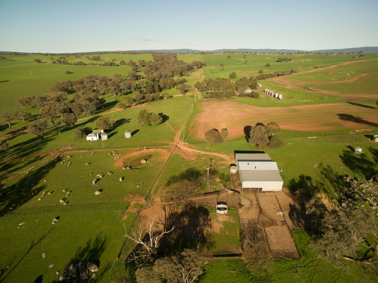 919 Iandra Road, Greenethorpe, NSW – Rural • Ray White