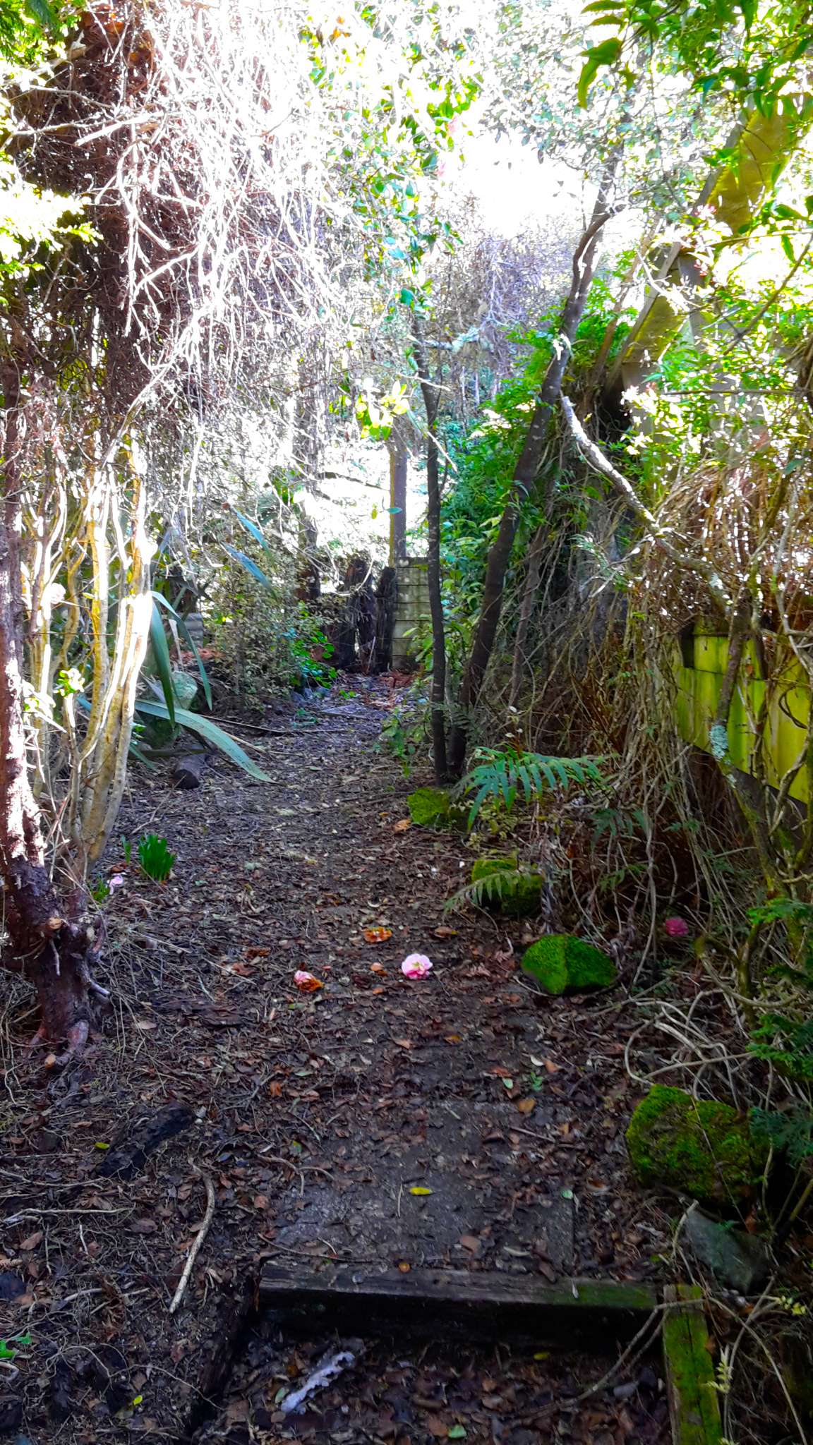 279 State Highway 30, Lake Rotoma, Bay Of Plenty | Real Estate | Ray ...