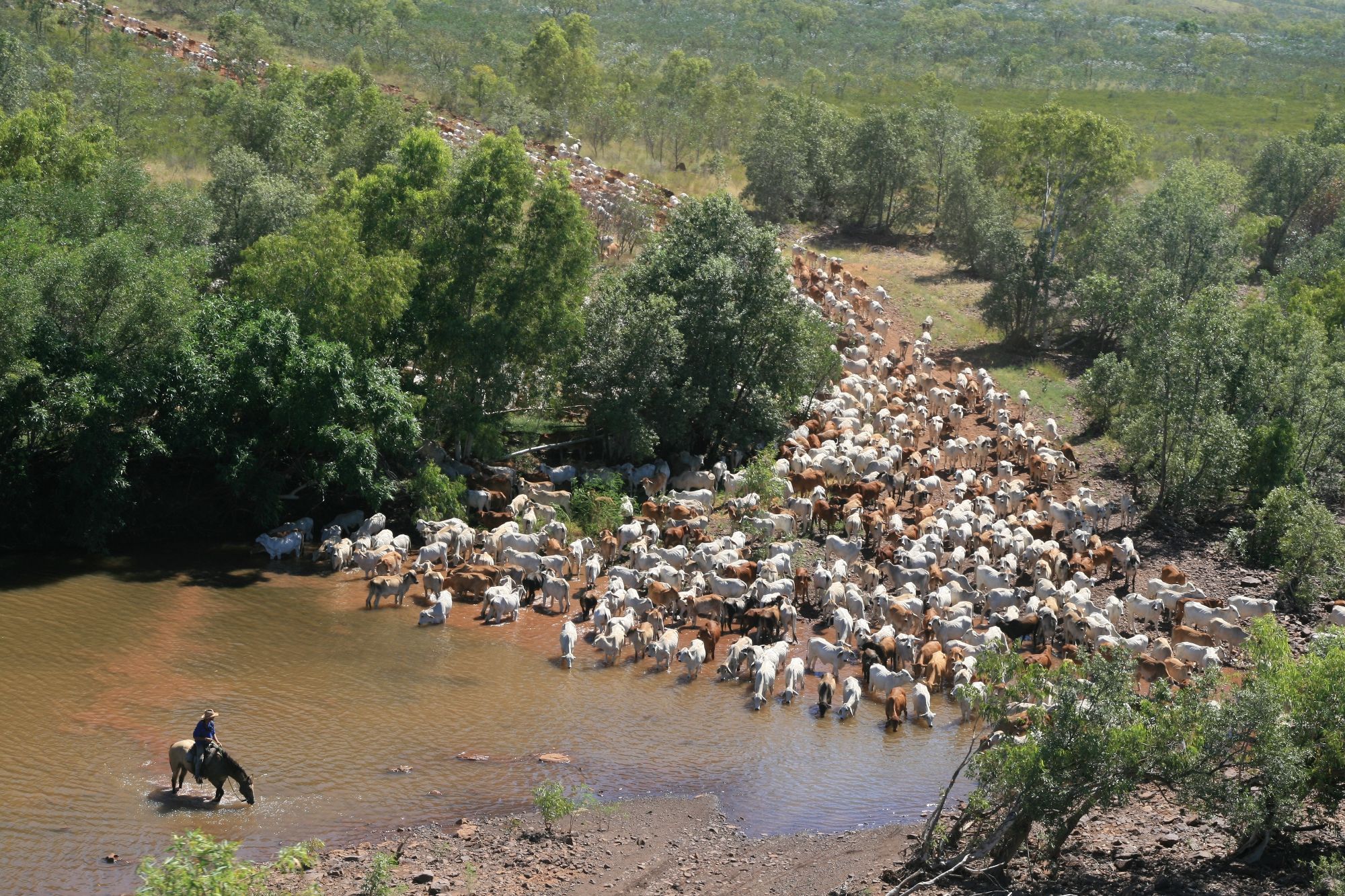 “Riveren Station” and “Inverway Station” Northern Territory - News ...