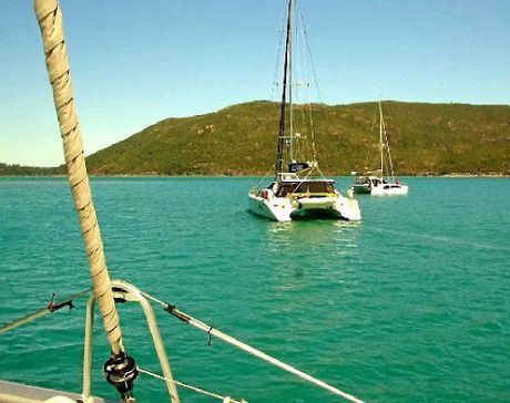 Multihull Rendezvous ‘outstanding success’ - News - Ray White Whitsunday