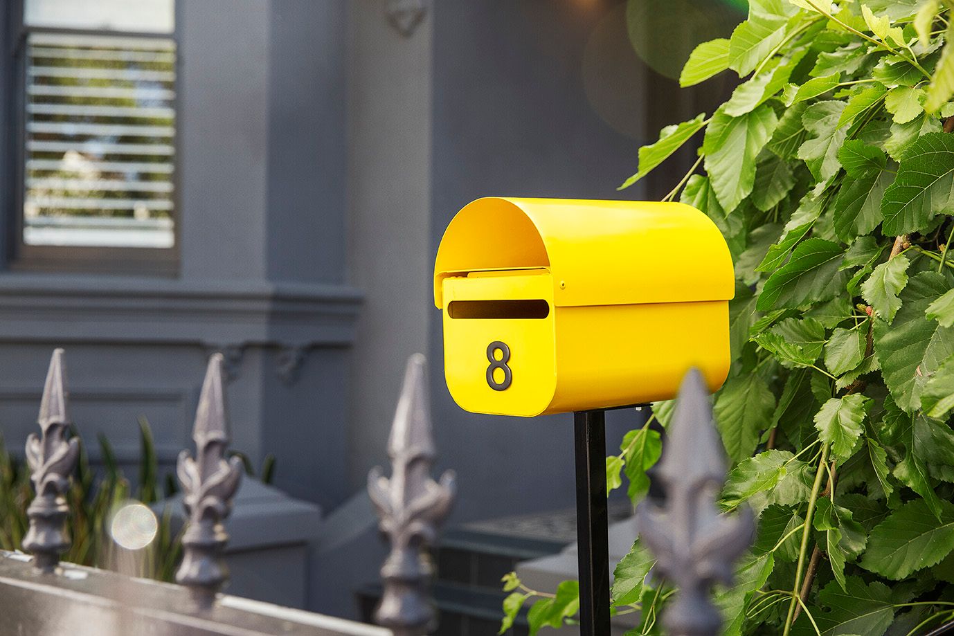 Preparing for Auction - News - Ray White Berry