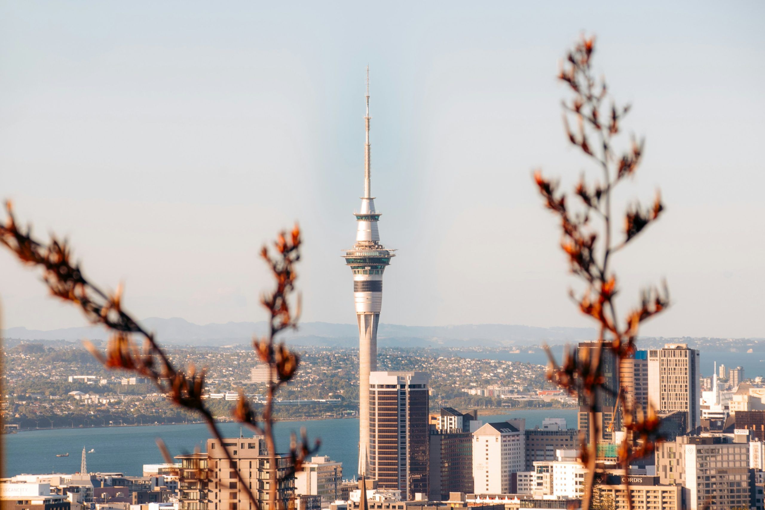 Auckland Apartment Report – April 2025 - News - Auckland Apartments For ...