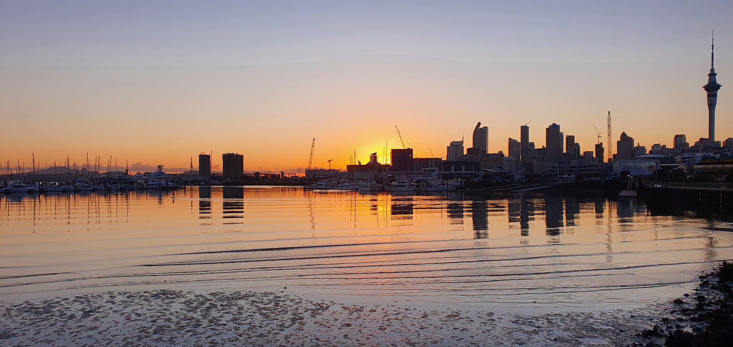 Auckland Apartment Report – September 2025 - News - Auckland Apartments ...