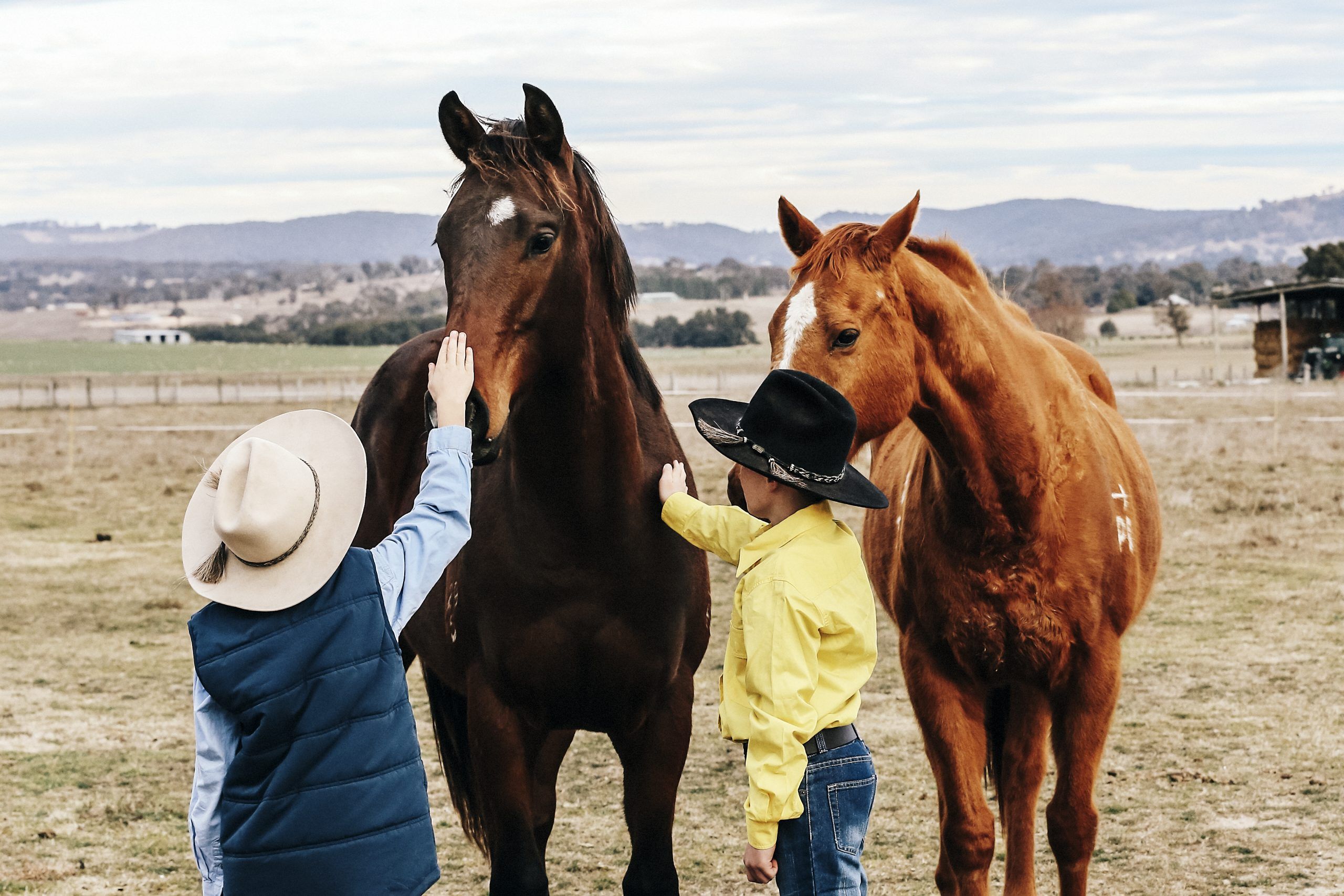 Saddle Up! - News - Ray White North Lakes