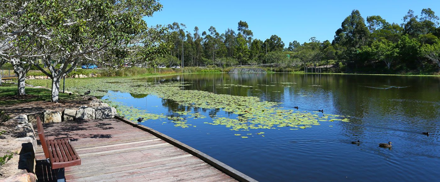 Ray White Springfield | Springfield Lakes