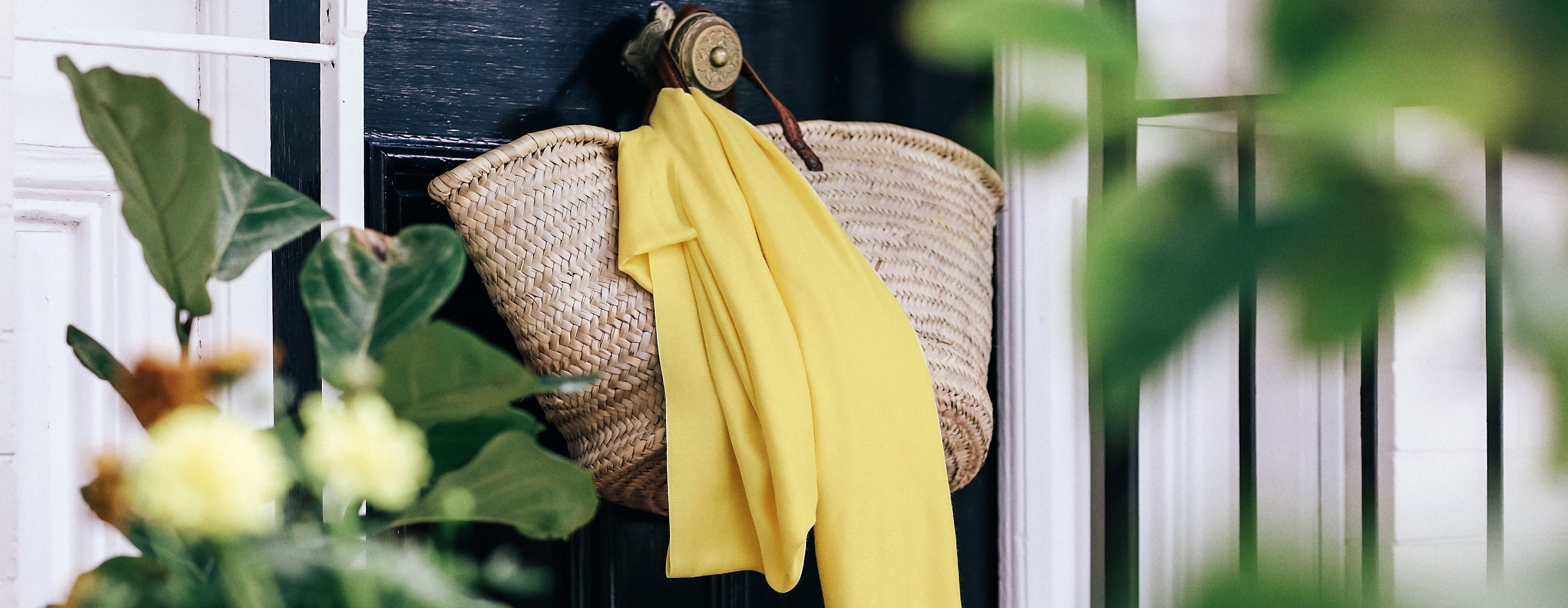 Carterton Office - Carterton - Ray White Wairarapa