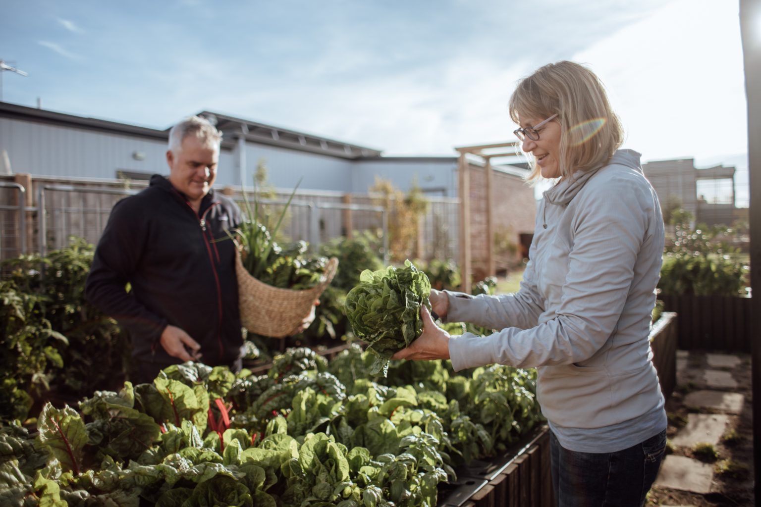 Your Guide to Growing Food in Your Own Backyard - News - Ray White ...
