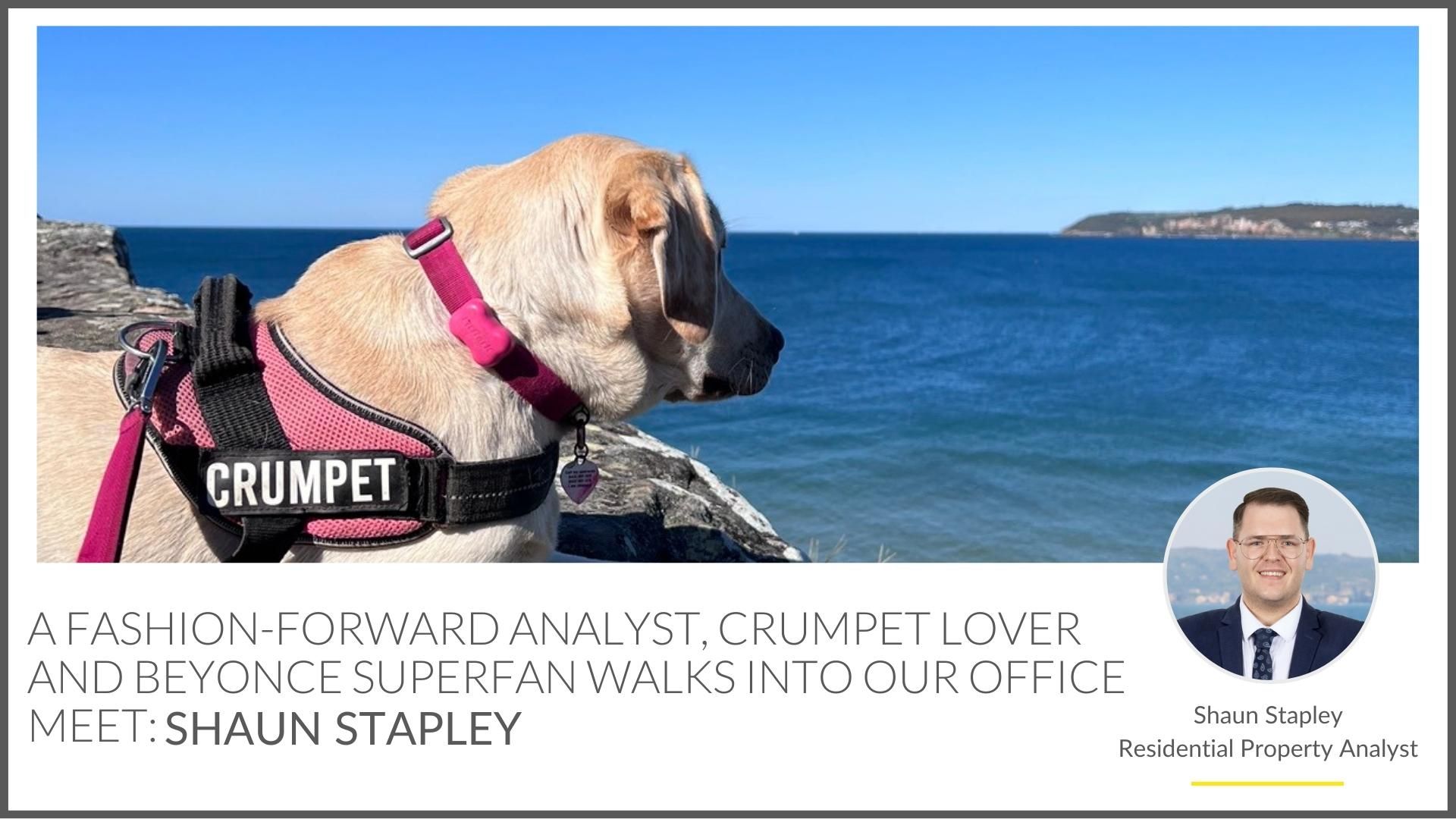 A Fashion-Forward Analyst, Crumpet Lover and Beyonce Superfan Walks ...