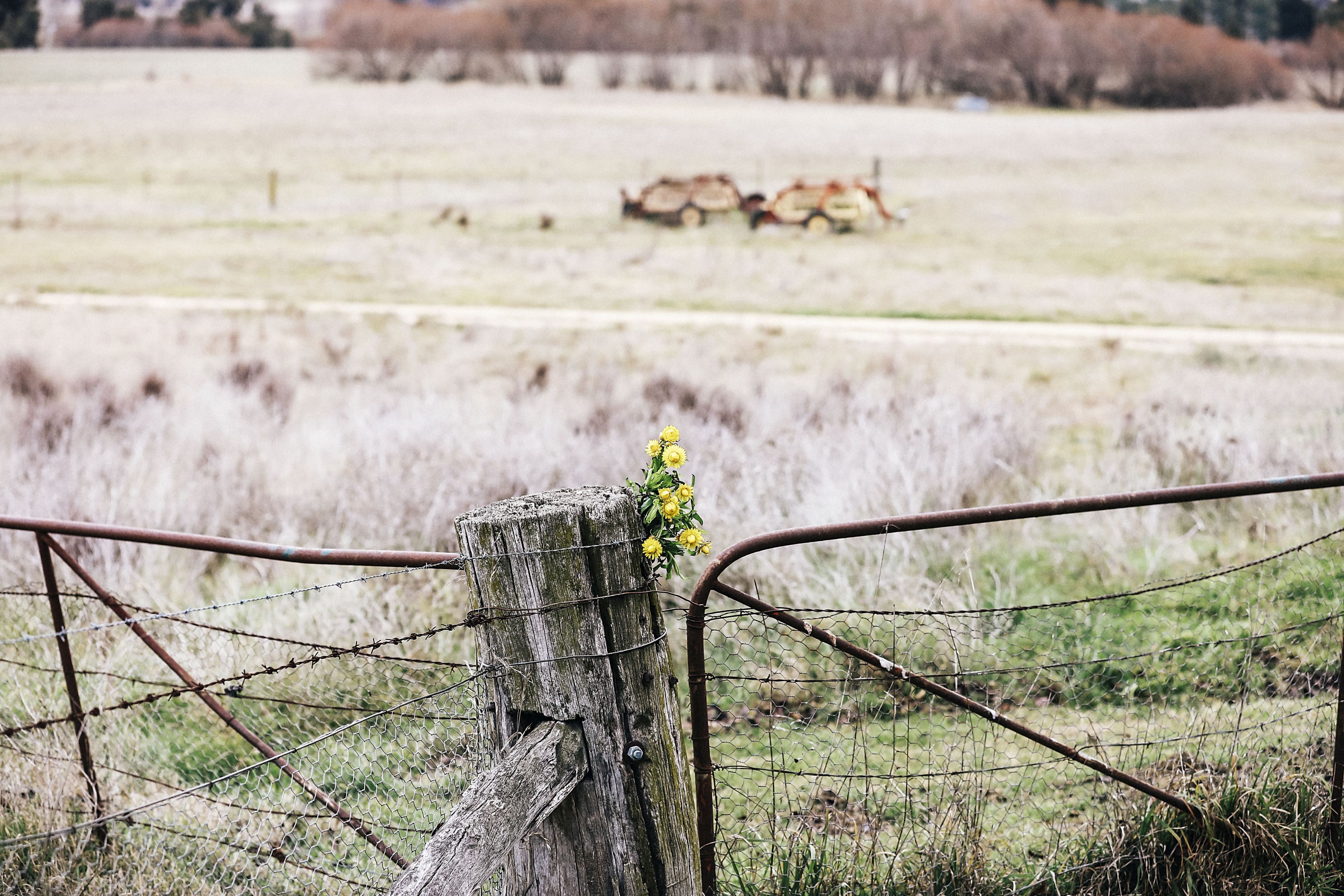 Ray White Rural South Australia
