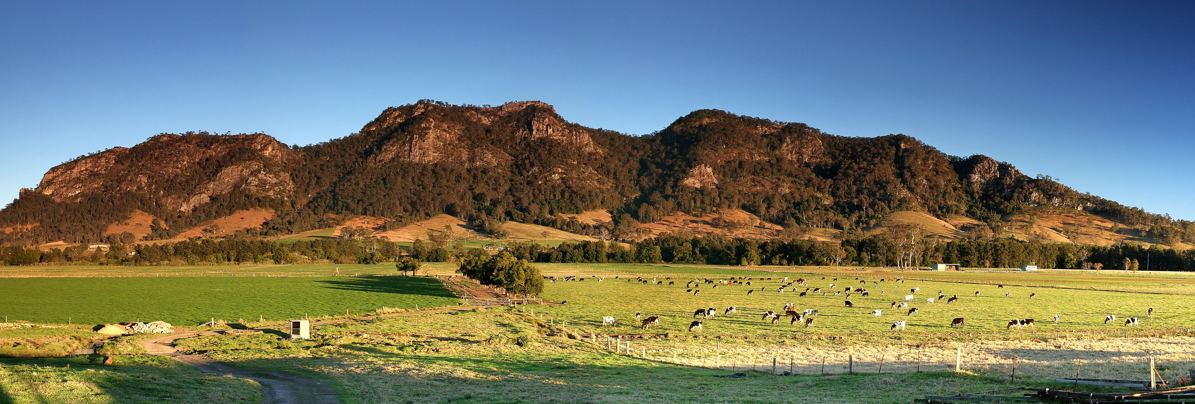 Ray White Livestock & Real Estate Gloucester