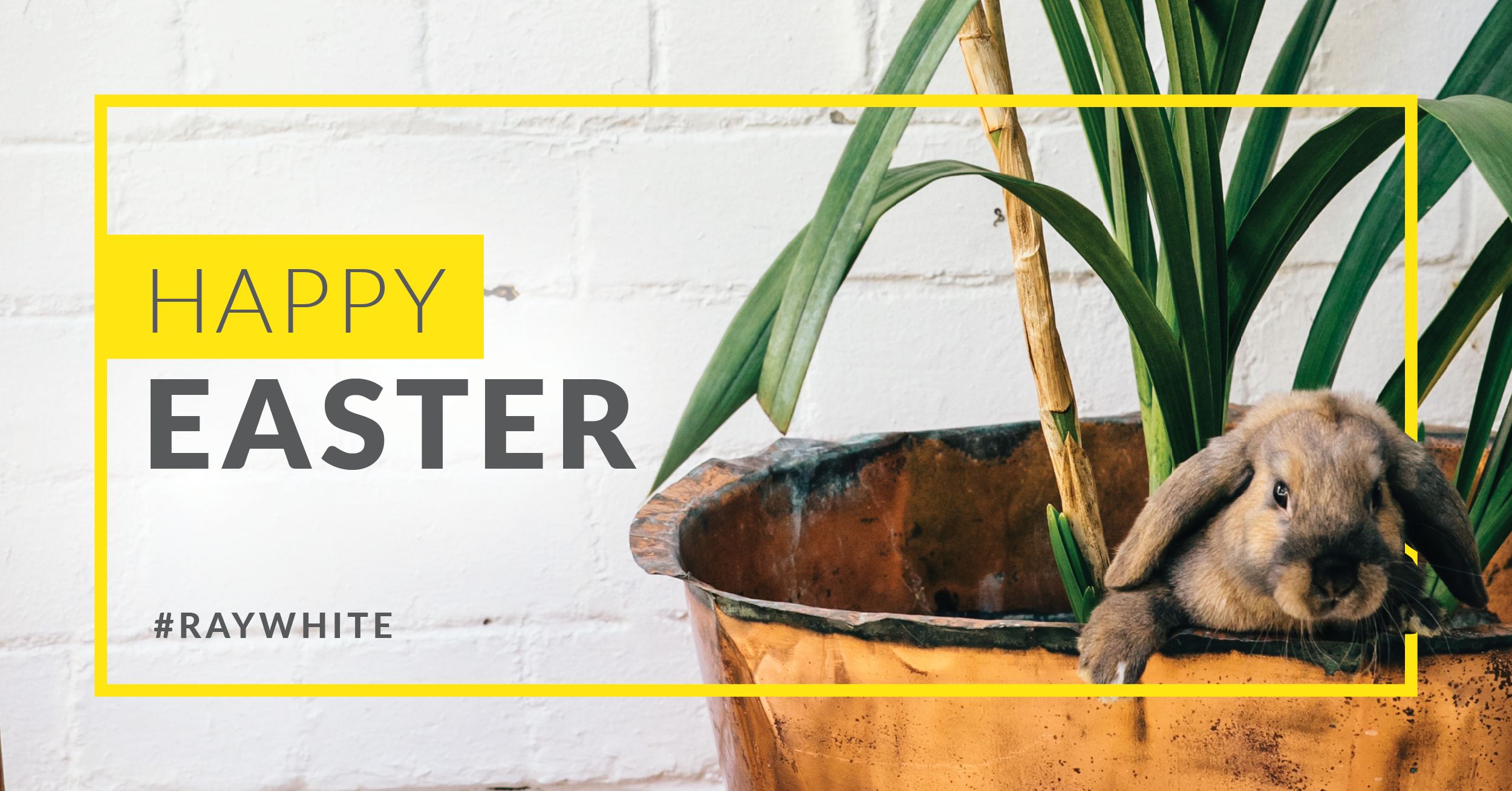 Easter Colouring In - News - Ray White Inverloch