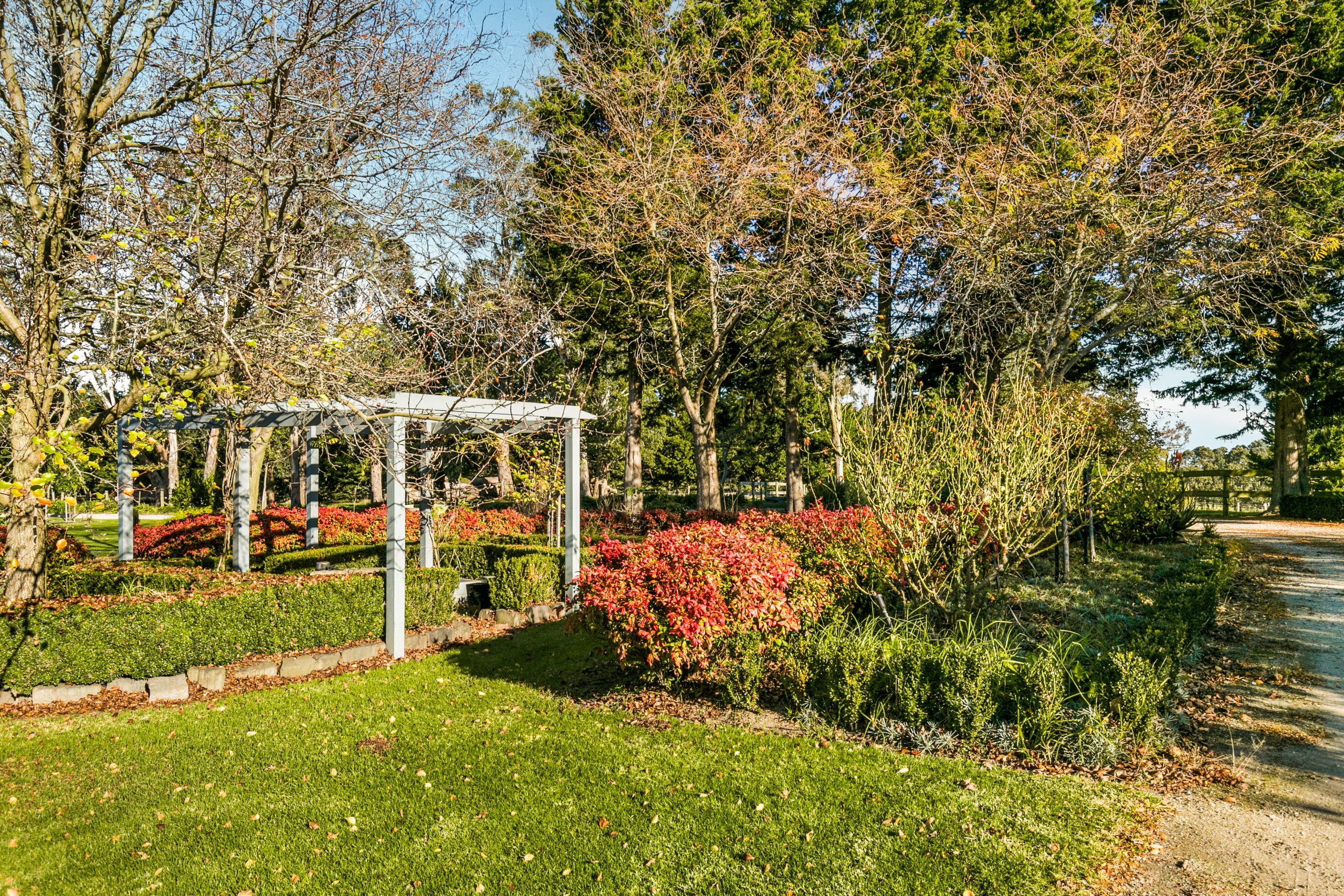 The Essential Guide to Australian Native Plants - News - Ray White ...