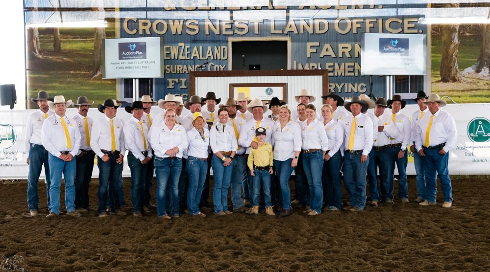 Dalby Australian Stock Horse Sale - Ray White Rural & Livestock Dalby