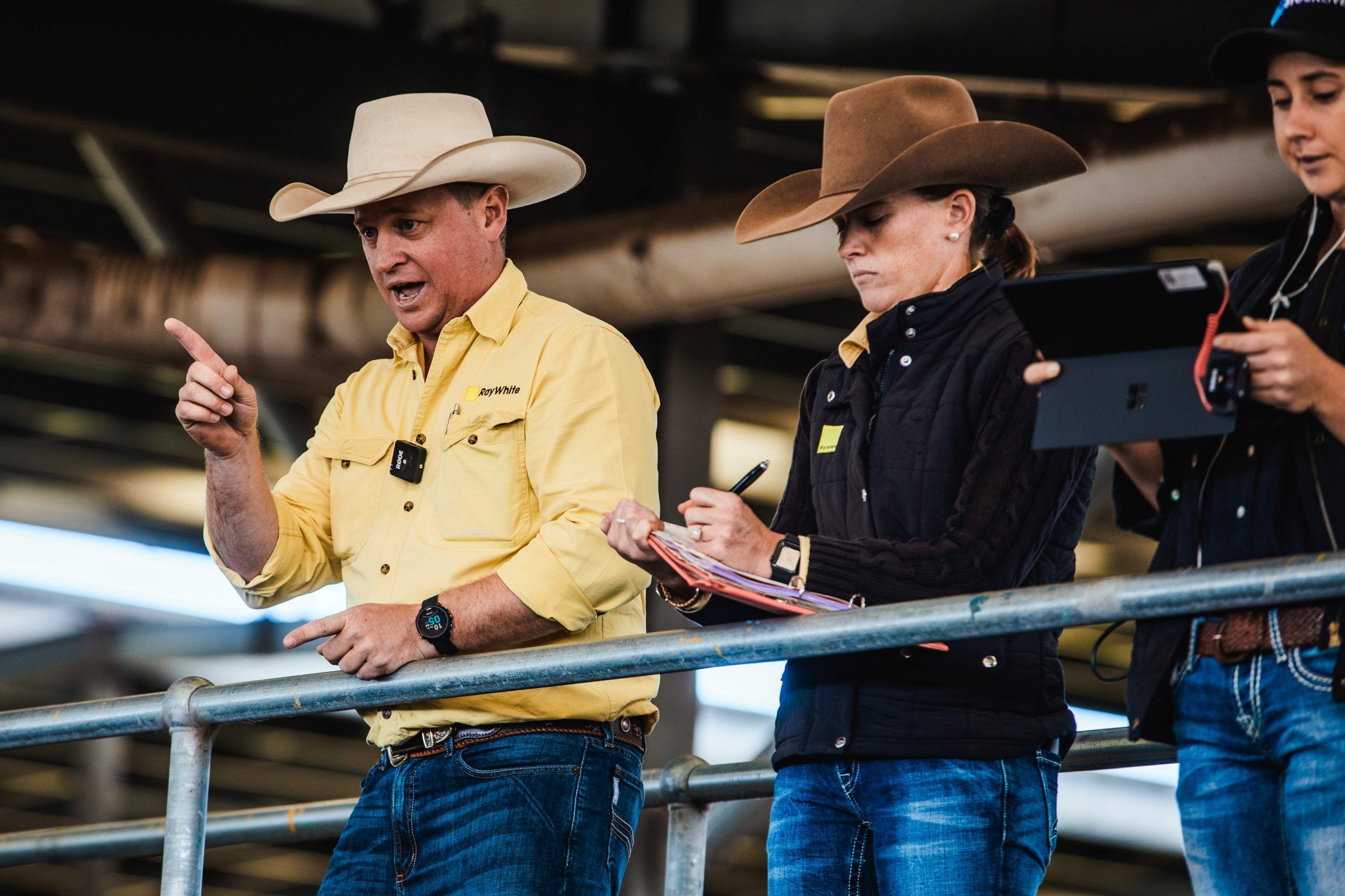Livestock - Ray White Rural & Livestock Dalby
