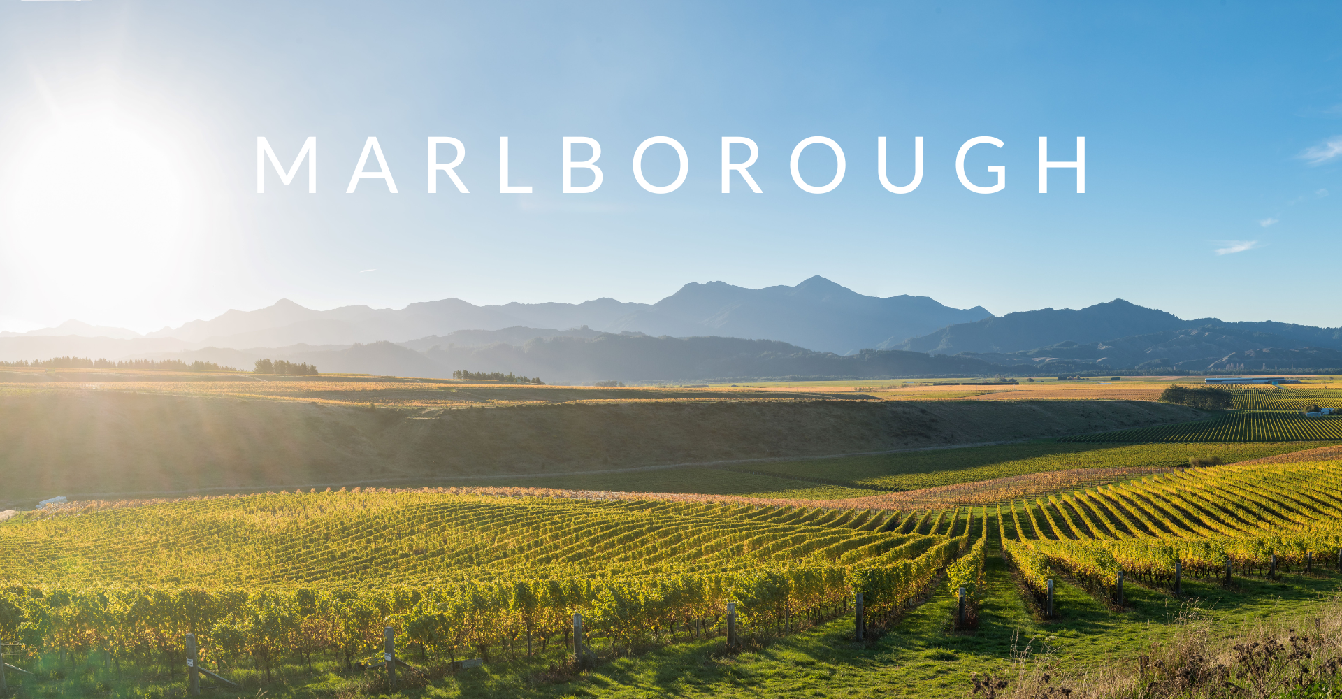 About Marlborough - About Us - Ray White Blenheim