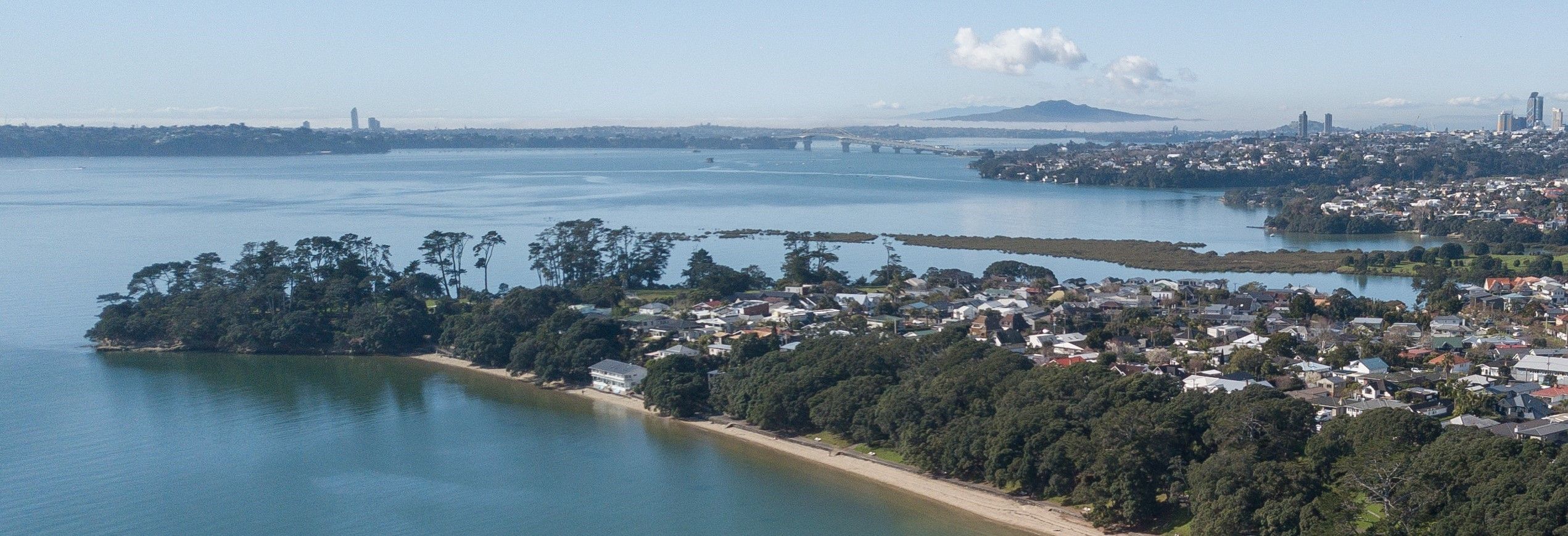 Ray White Pt Chevalier