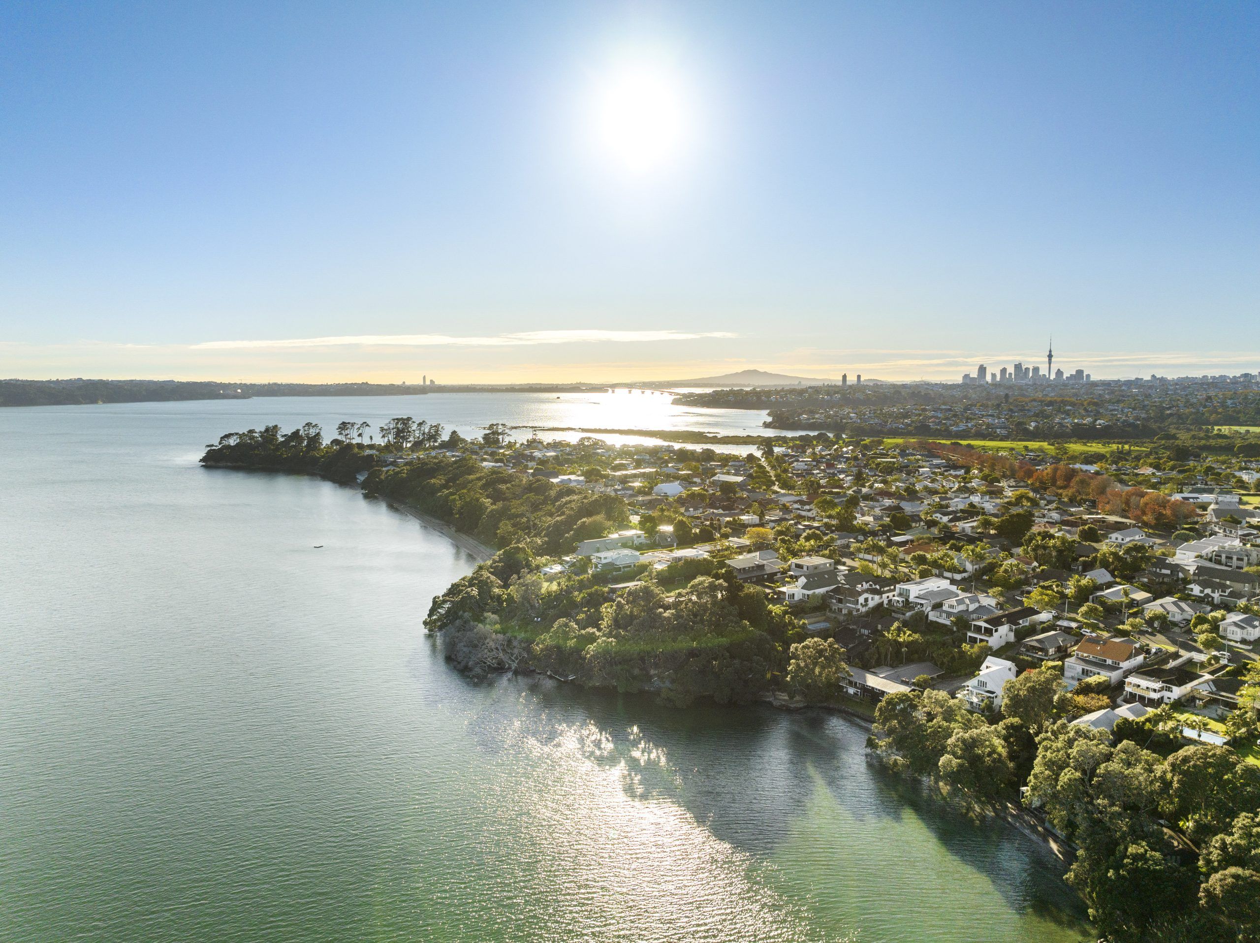 Ray White Pt Chevalier