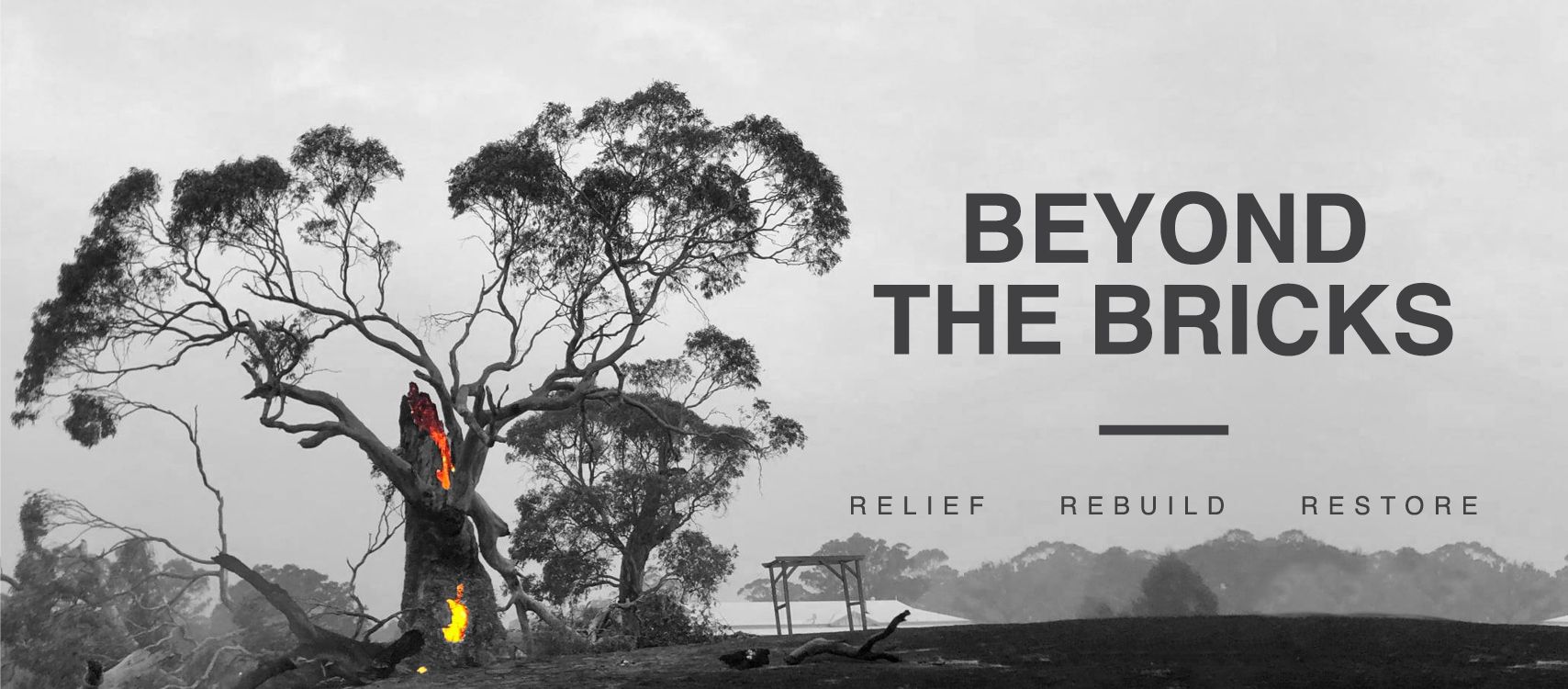 Beyond the Bricks - News - Ray White Caloundra