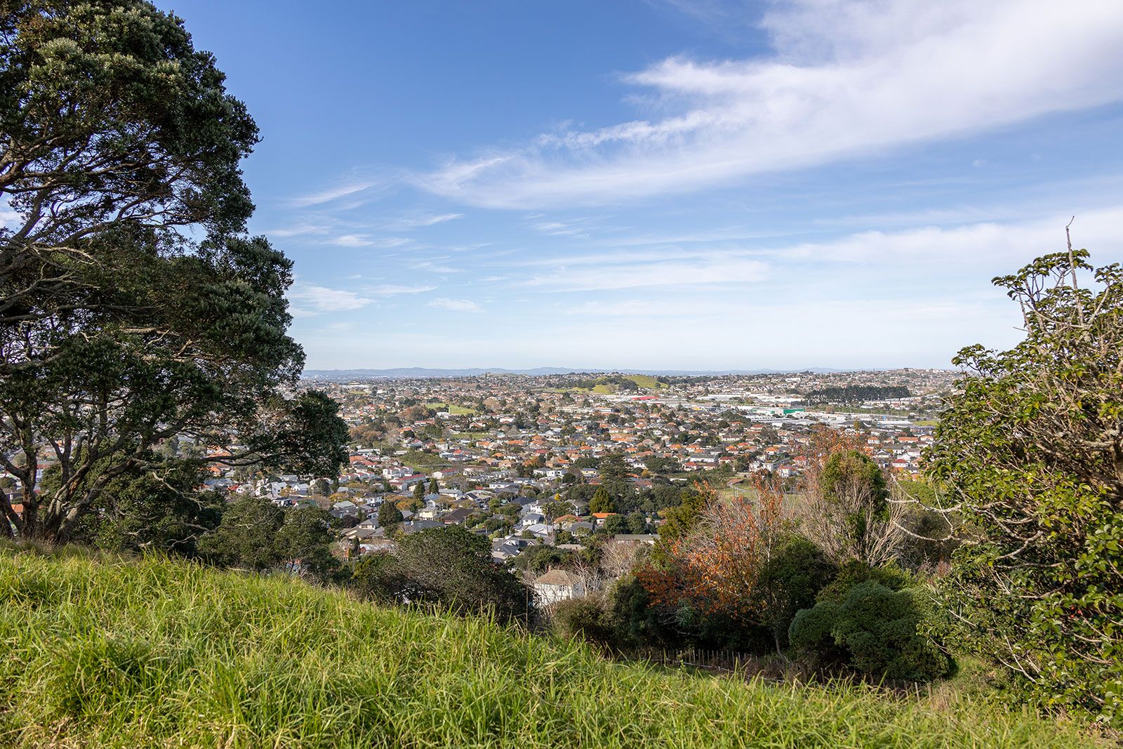 Ray White Mt Albert