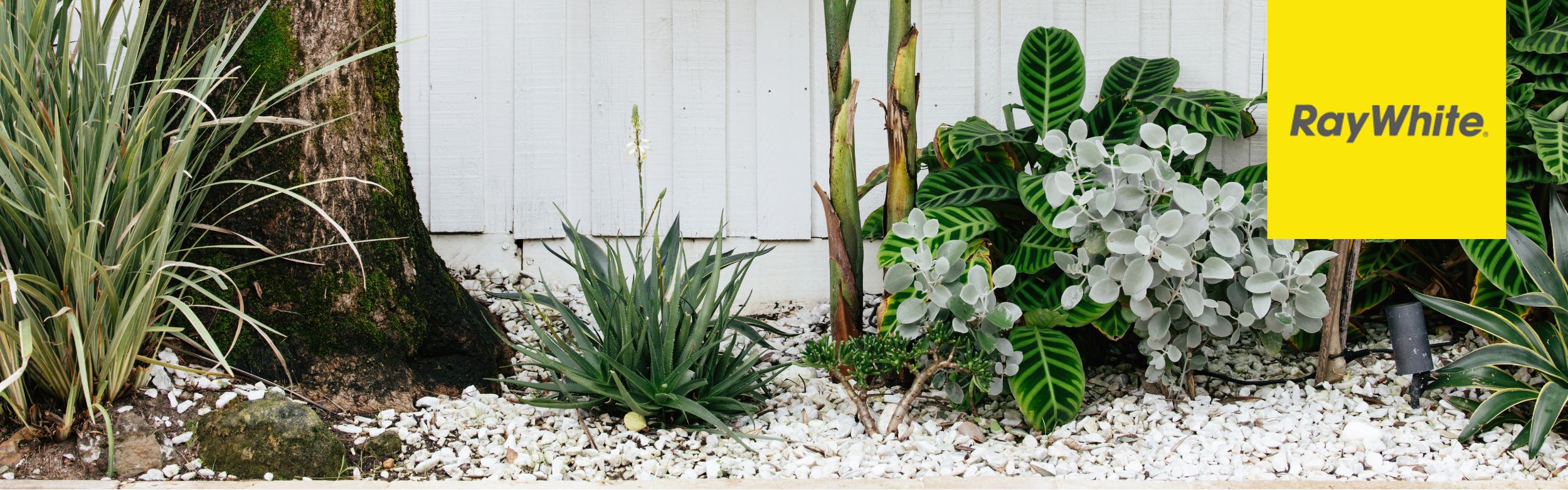 Switching Managing Agencies - Manage - Ray White Gympie