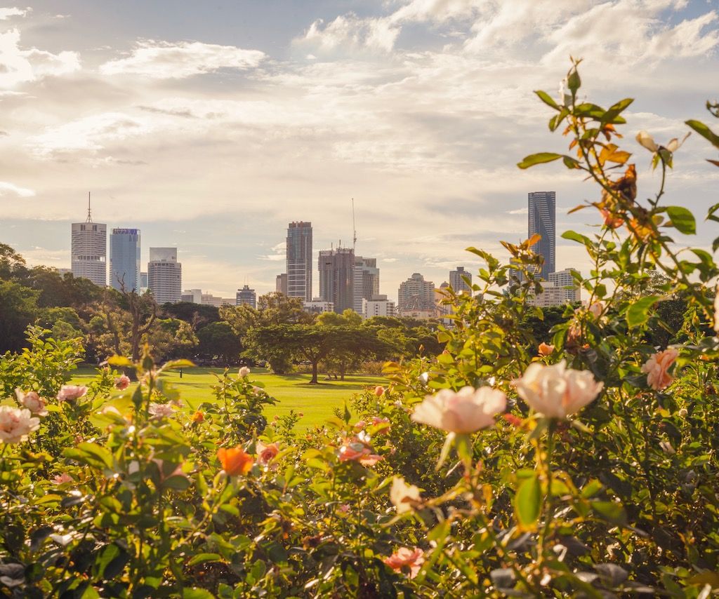 Achieving best bang for buck - Ray White New Farm