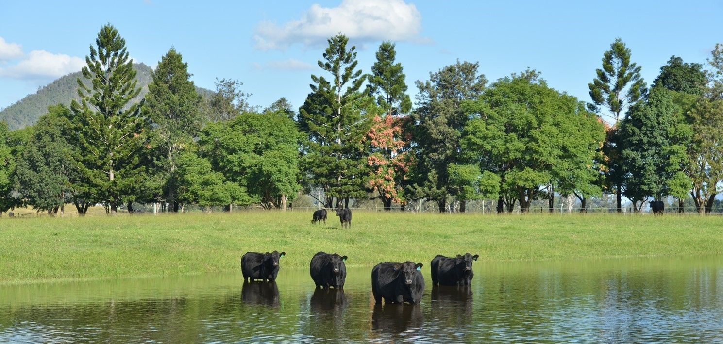 Ray White Rural Queensland
