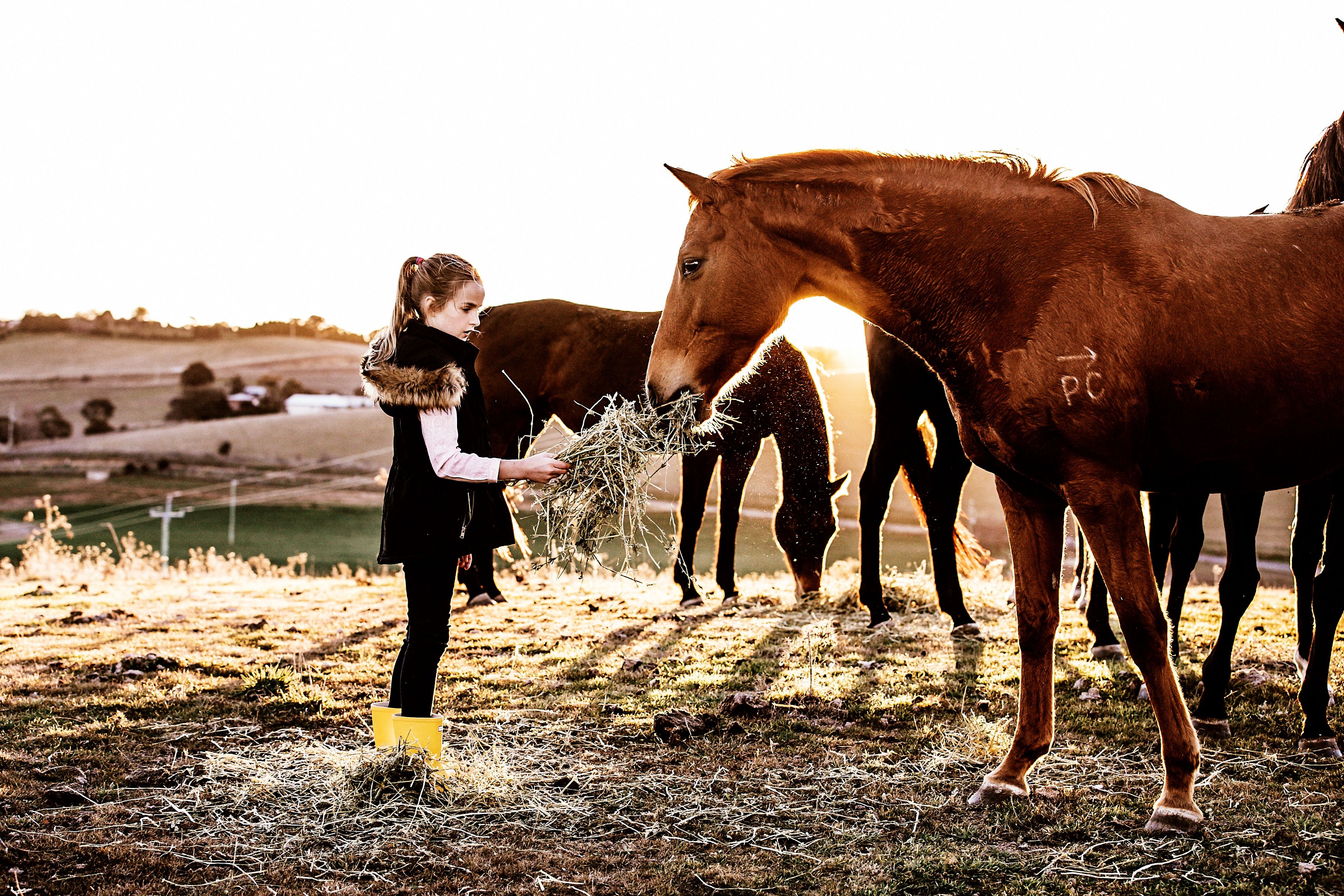 6 Reason to Commute from the Bush - News - Ray White Berry