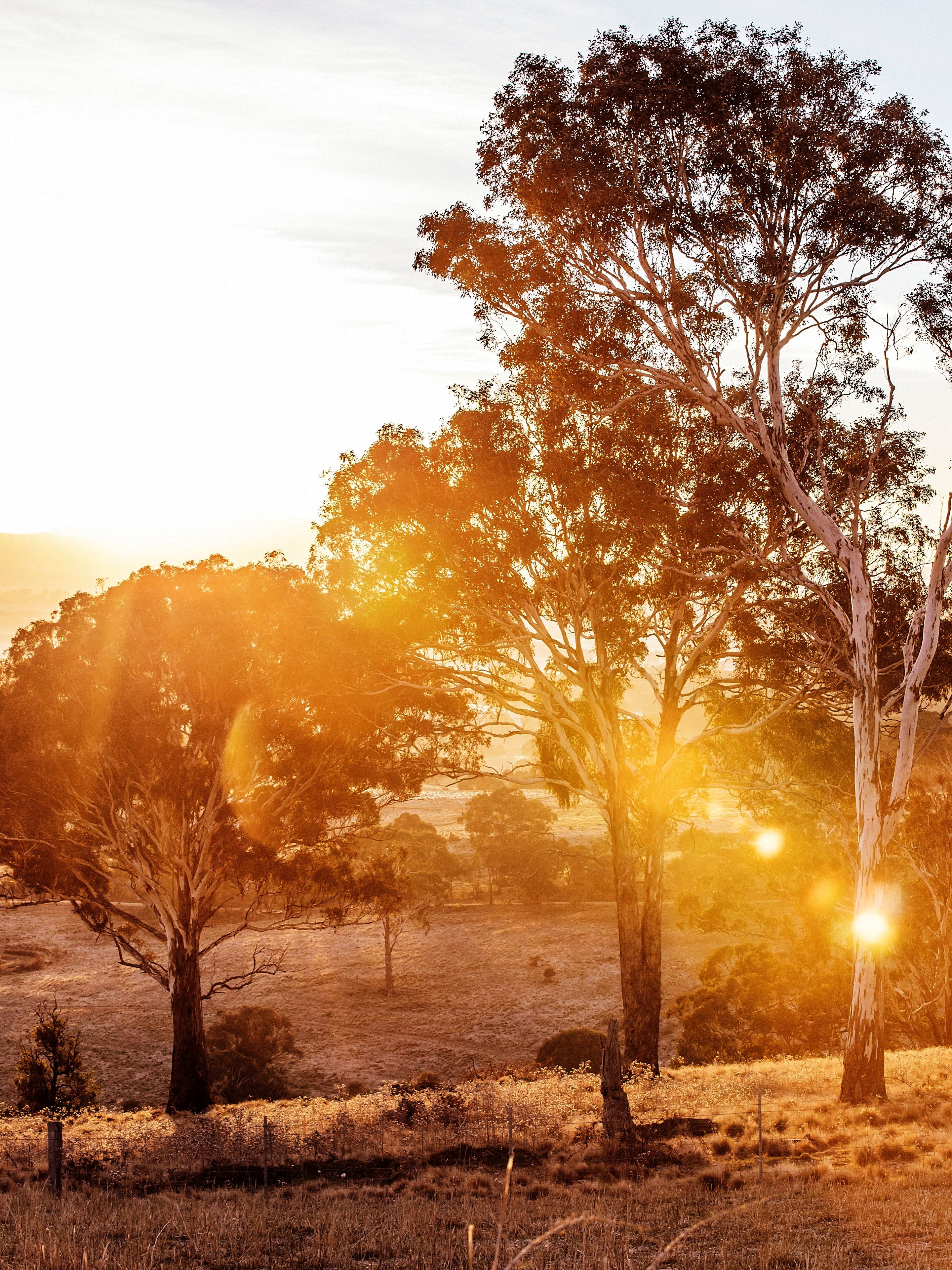 New Year, New Decade, New Home: What are your 2020 property resolutions ...