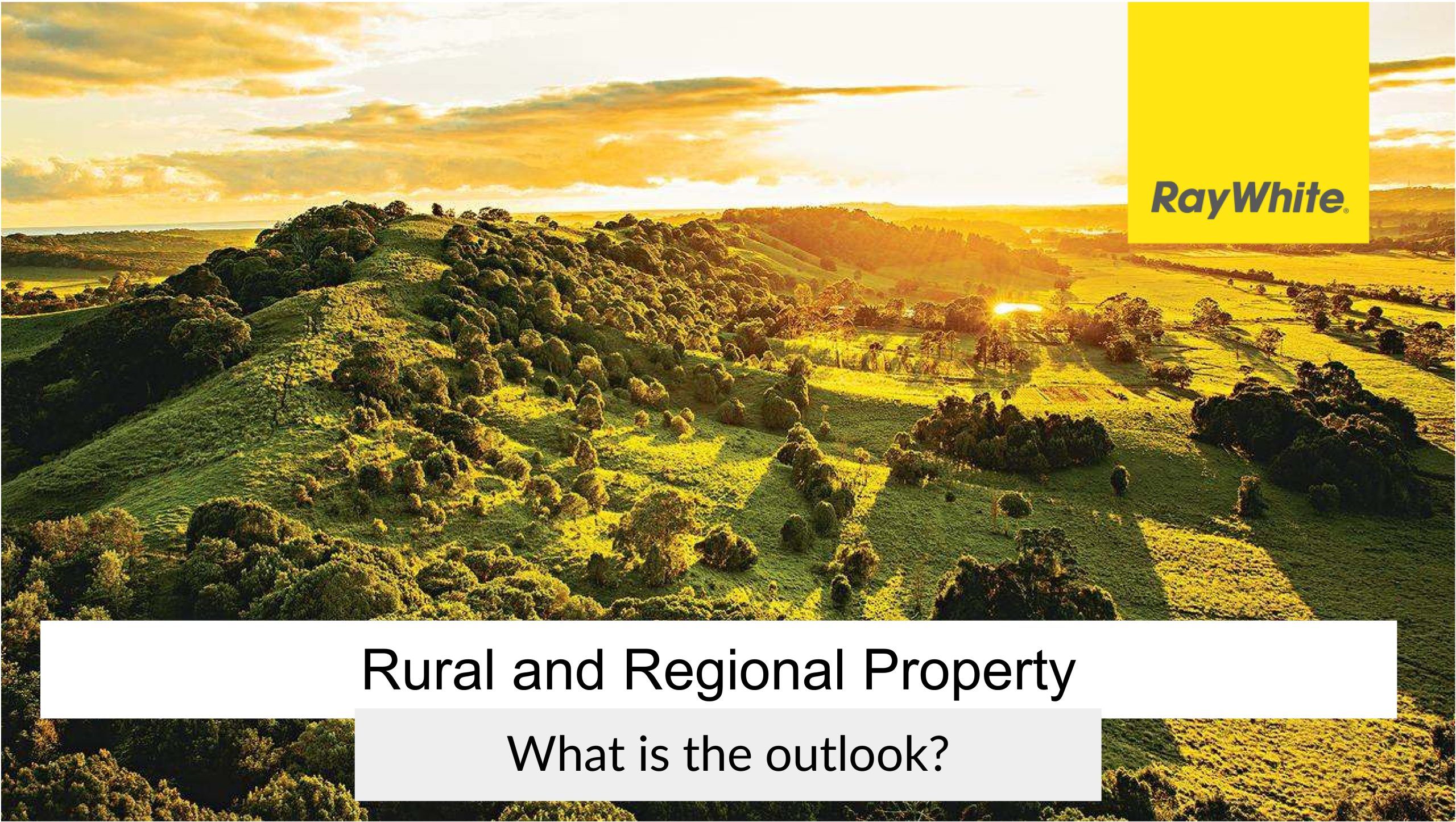 Ray White Rural Breakfast presentation at Beef 2024 presented by Nerida ...