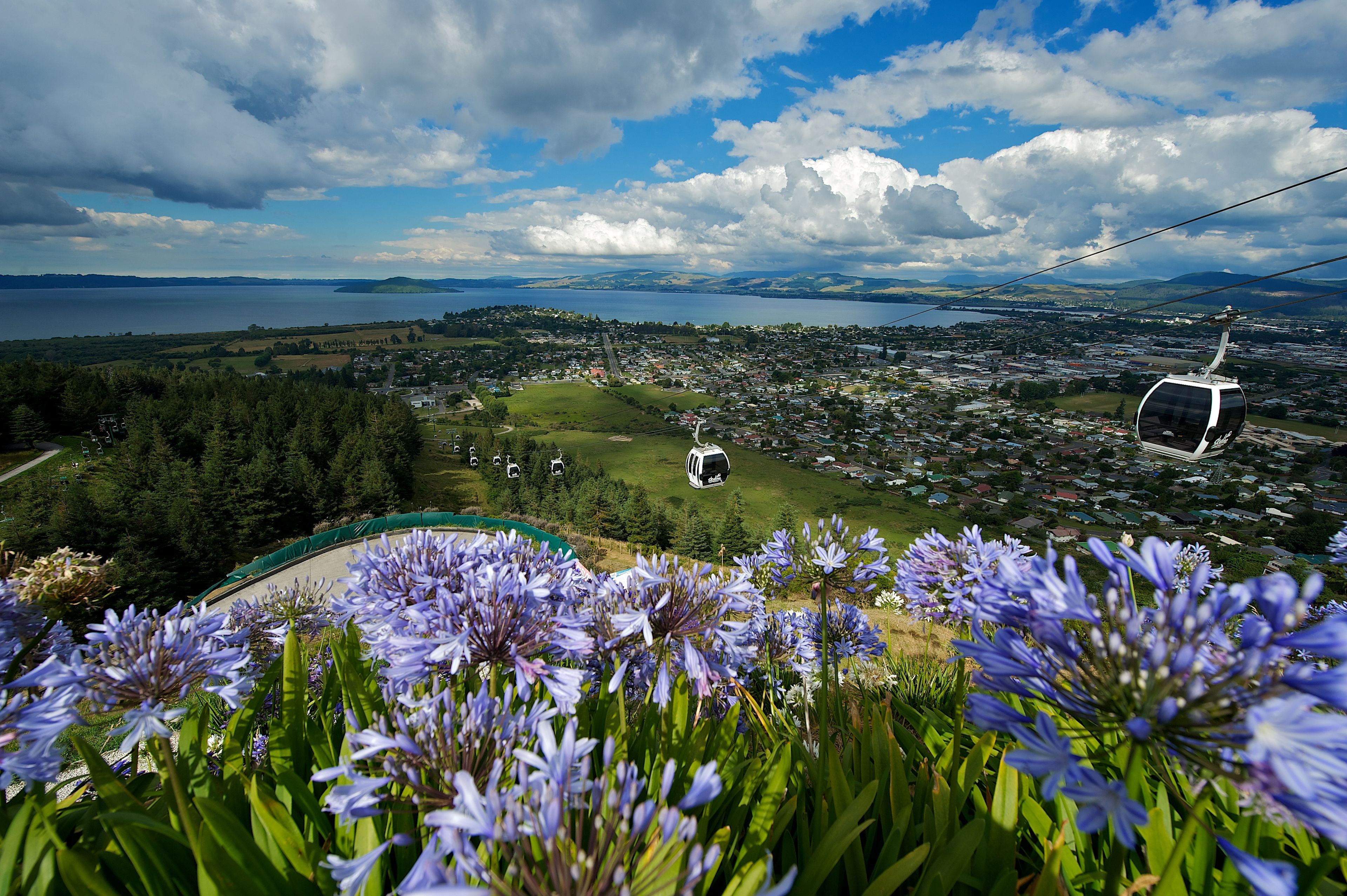Ray White Rotorua
