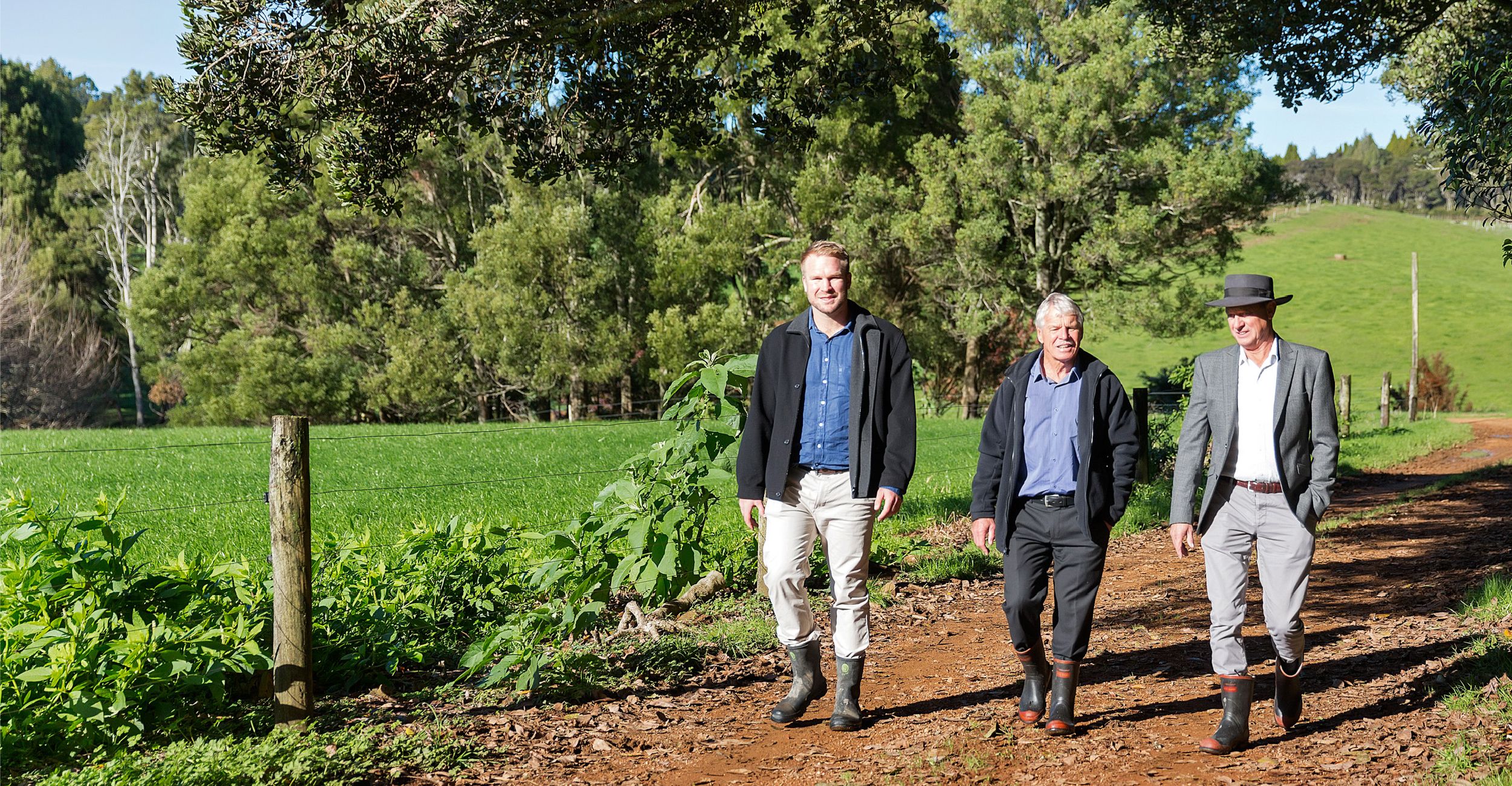 Ray White Rural - Ray White Whangarei