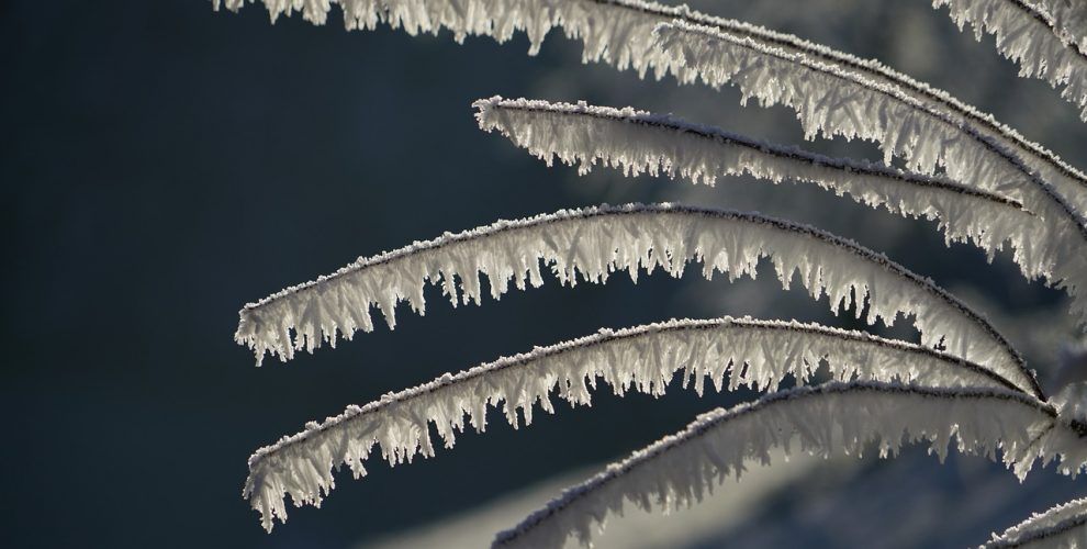 Preparing Your Property For A Winter Sale - News - Ray White Picton