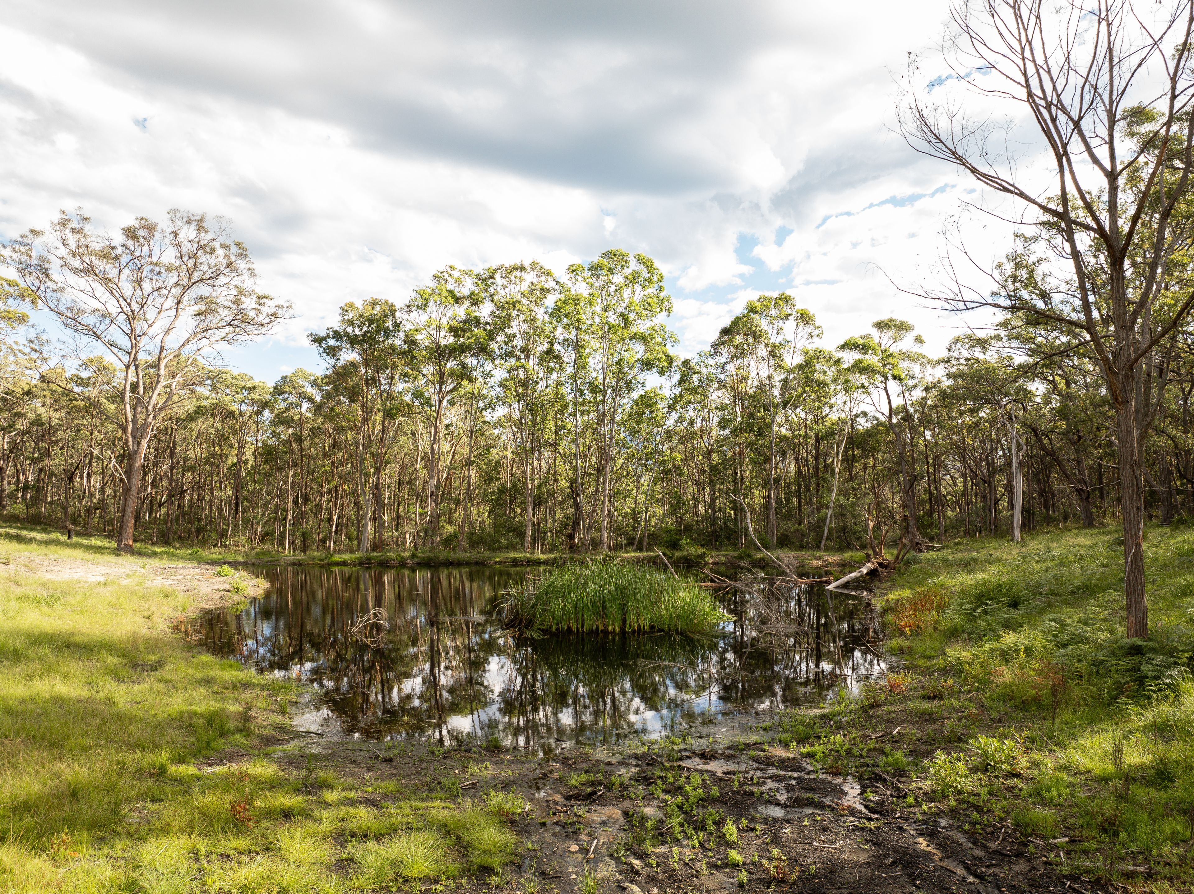 1157 Megalong Road, Megalong, NSW 2785 - Sold Land - Ray White Upper ...
