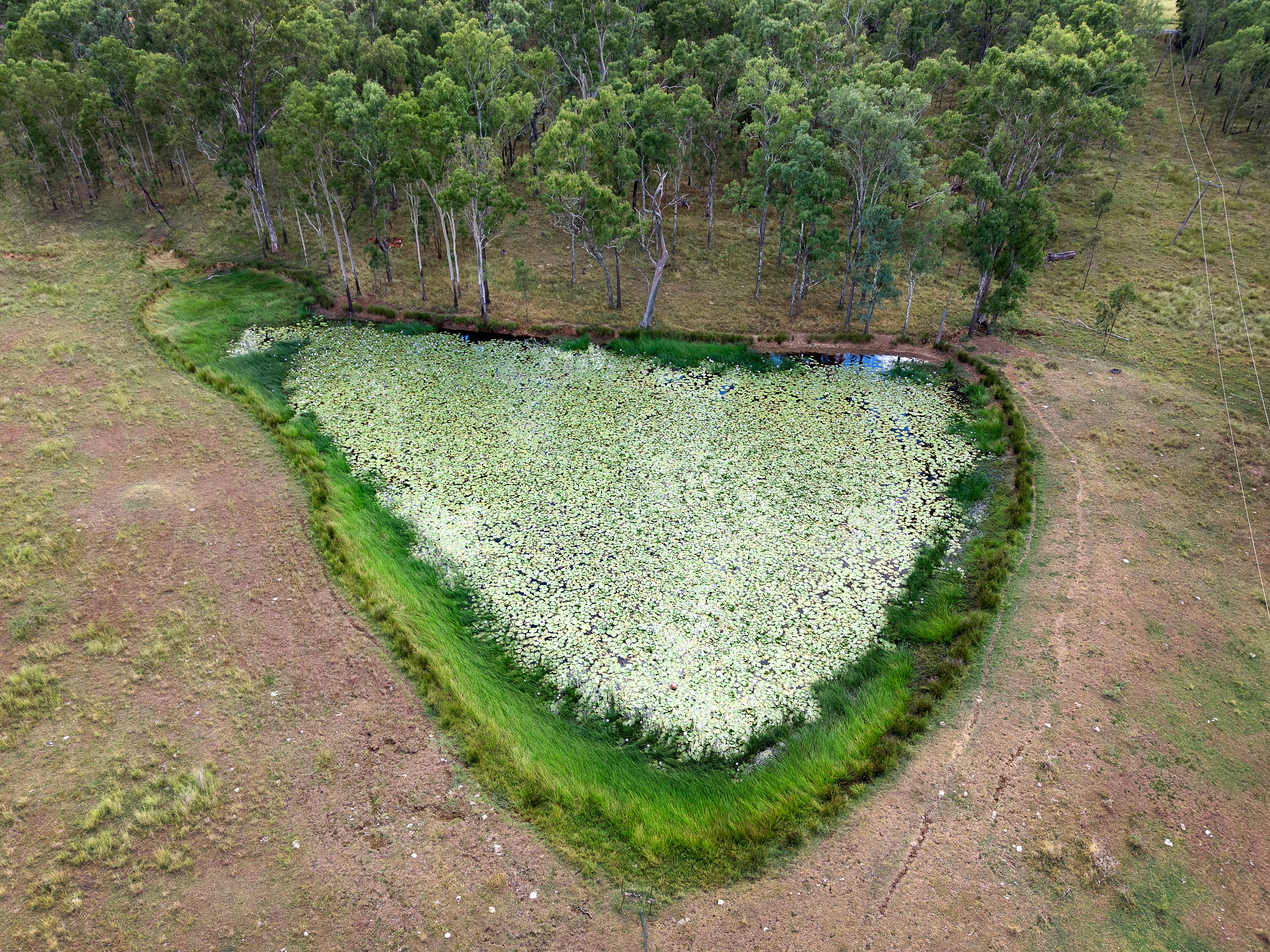 57 Coleyville Road, Mutdapilly, QLD 4307 - Sold Rural Lifestyle ...