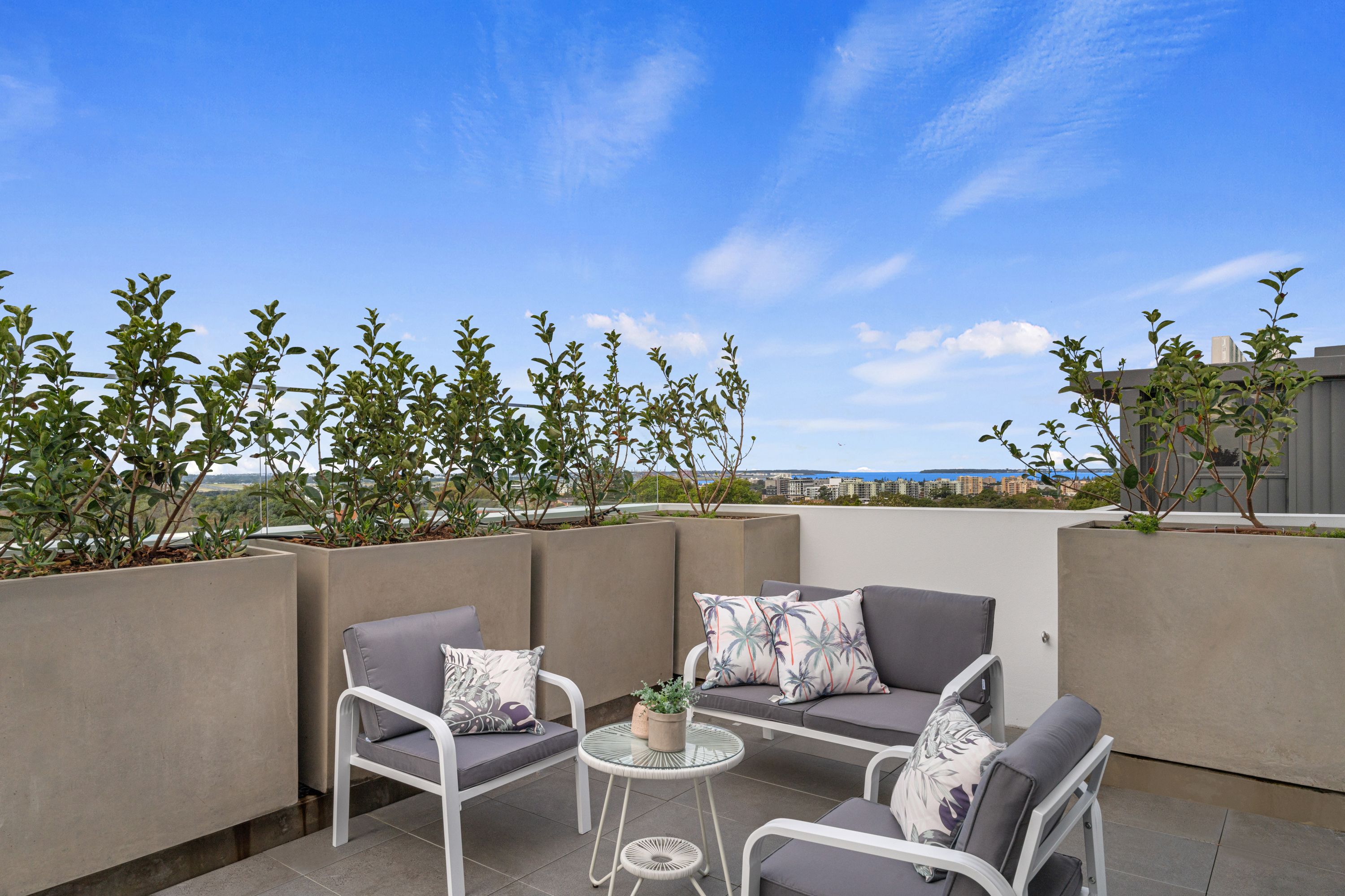 Penthouse 501/410 Forest Road (Access also via Albyn St), Bexley, NSW ...